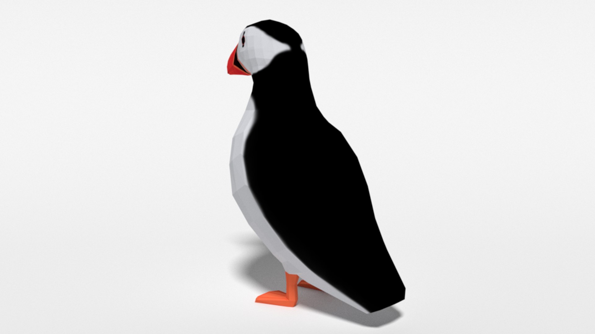 Puffin Blender Ready Model - TurboSquid 1534373