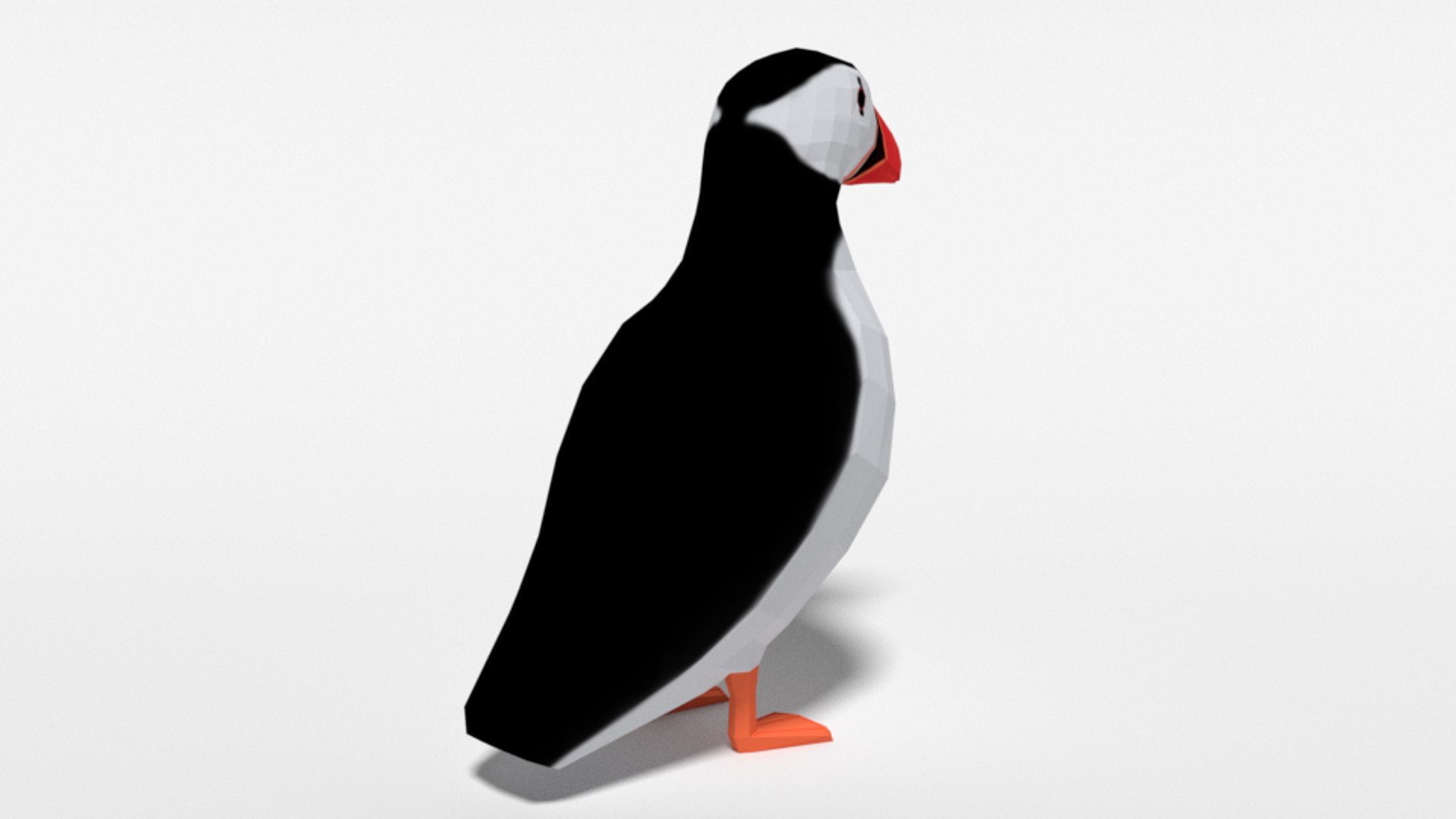 Puffin Blender Ready Model - TurboSquid 1534373