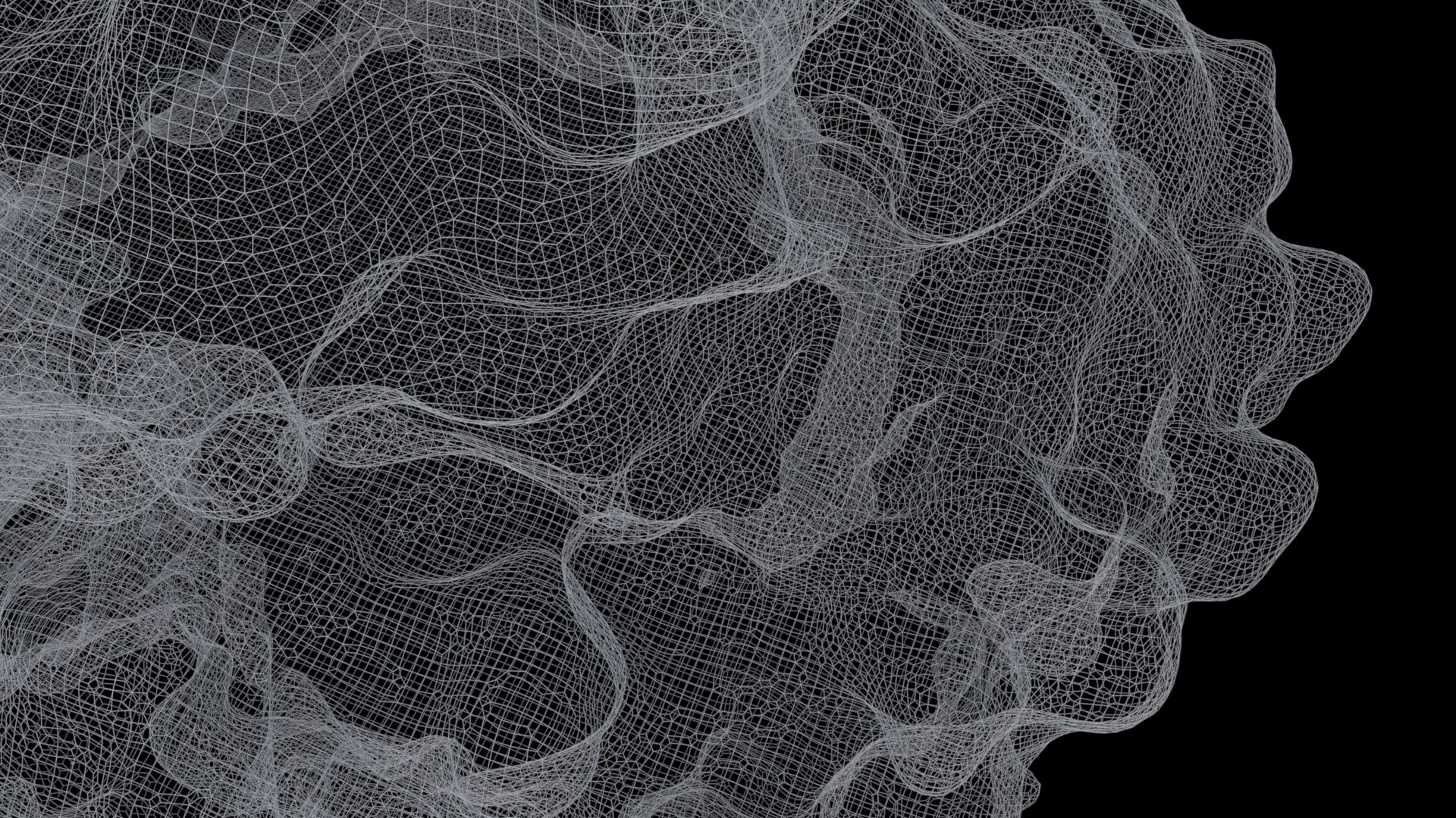 Ambient Dust VDB 1 3D - TurboSquid 2127195