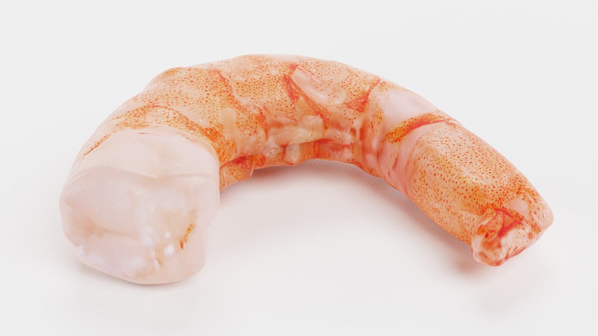 Shrimp cooked pbr 3D model - TurboSquid 1515875