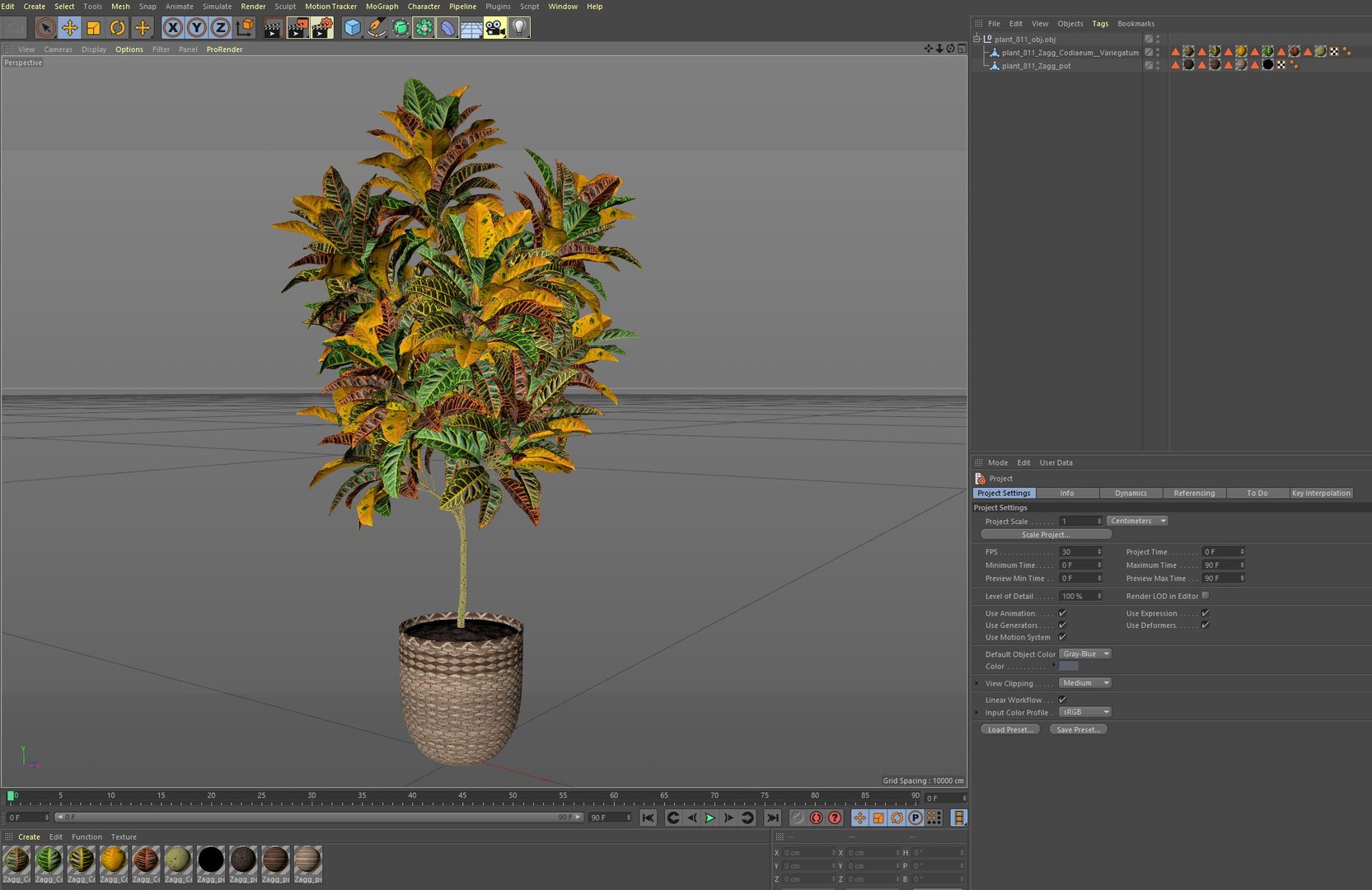 Plants collection 811 model - TurboSquid 1963692