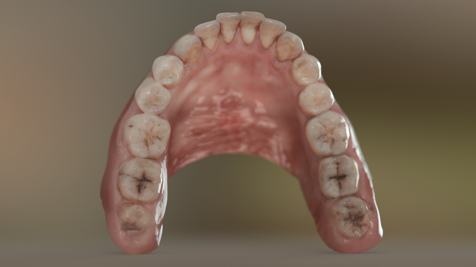 Dentures C 3D Model - TurboSquid 1791044