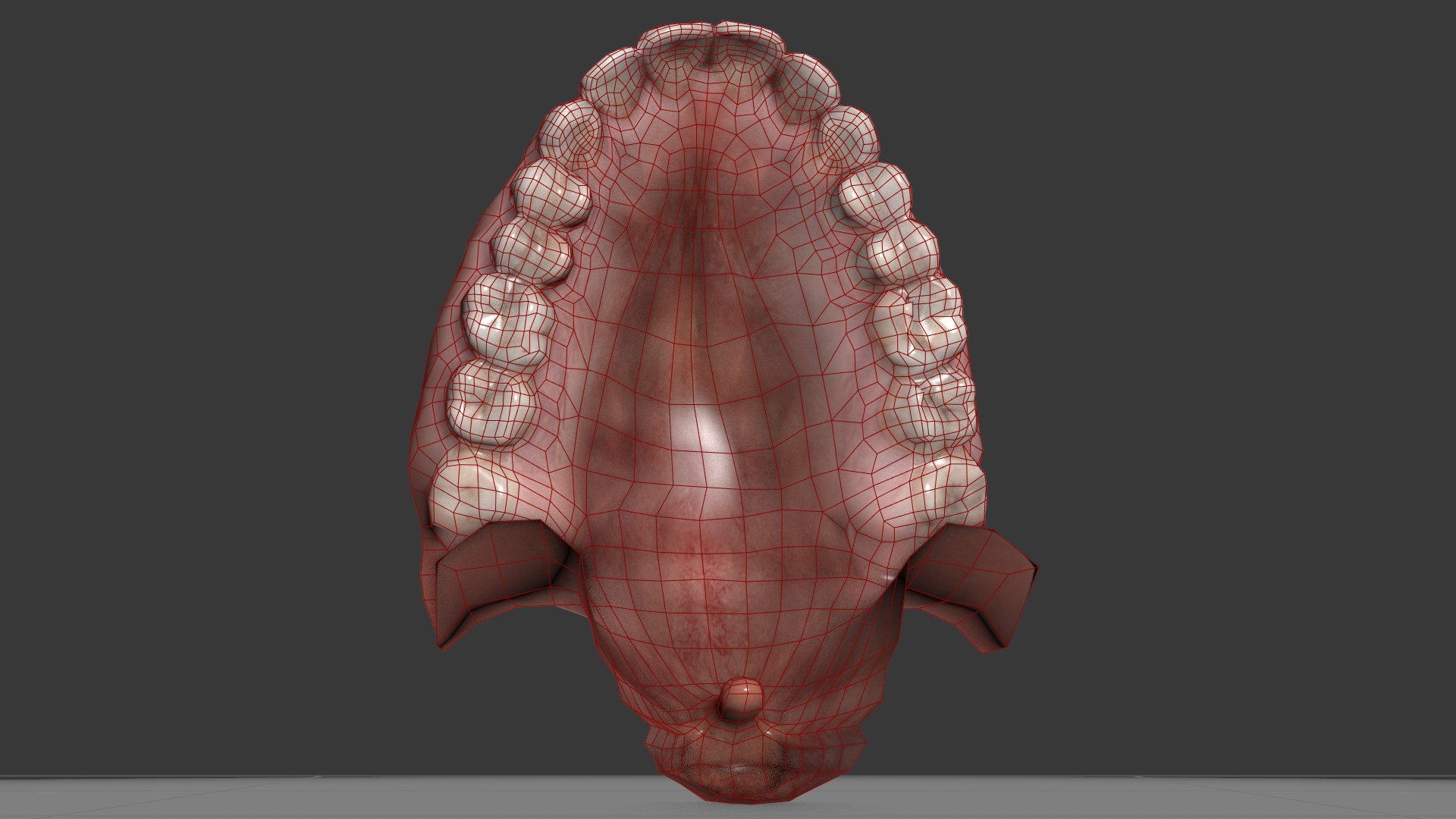 Dentures C 3D Model - TurboSquid 1791044