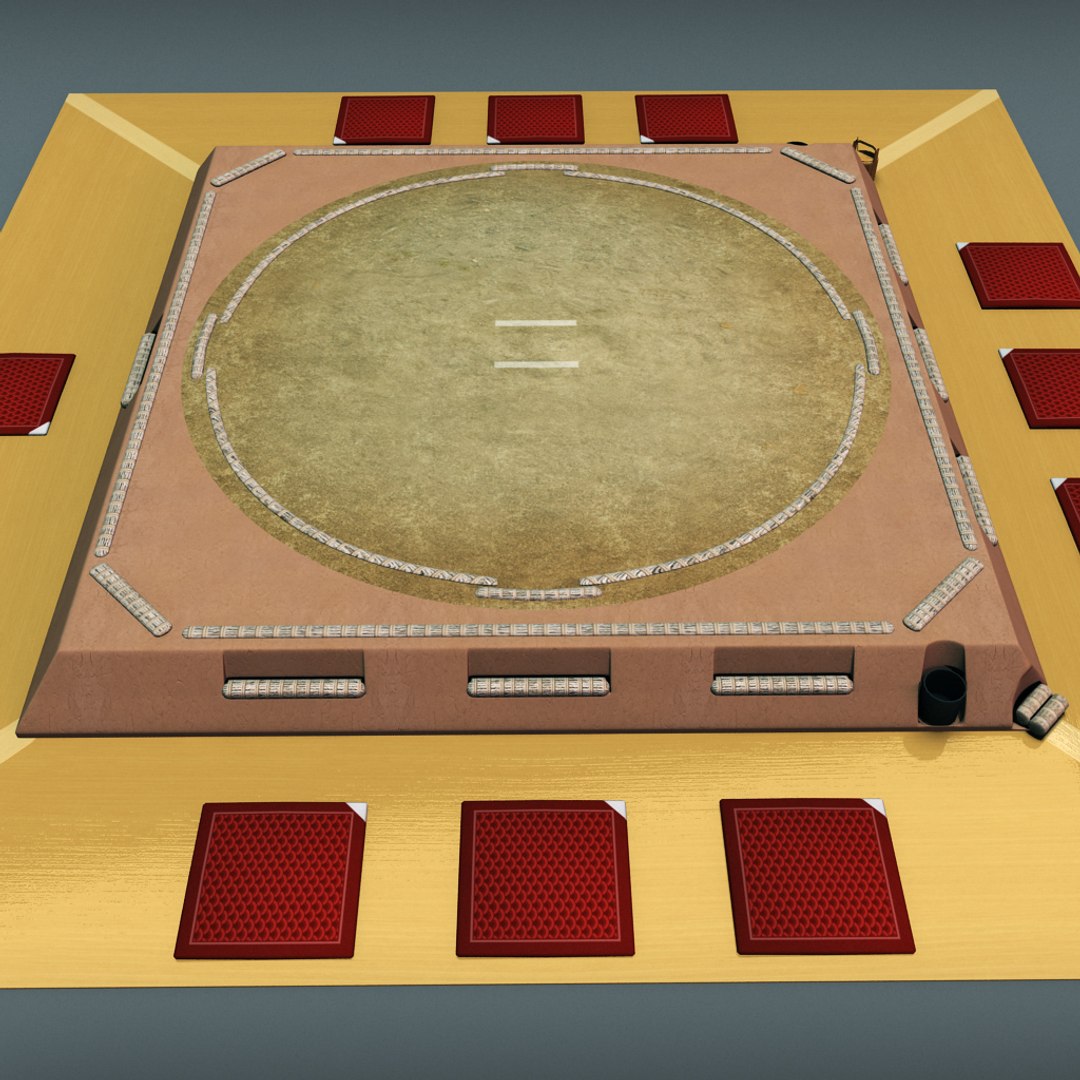 3d Sumo Ring