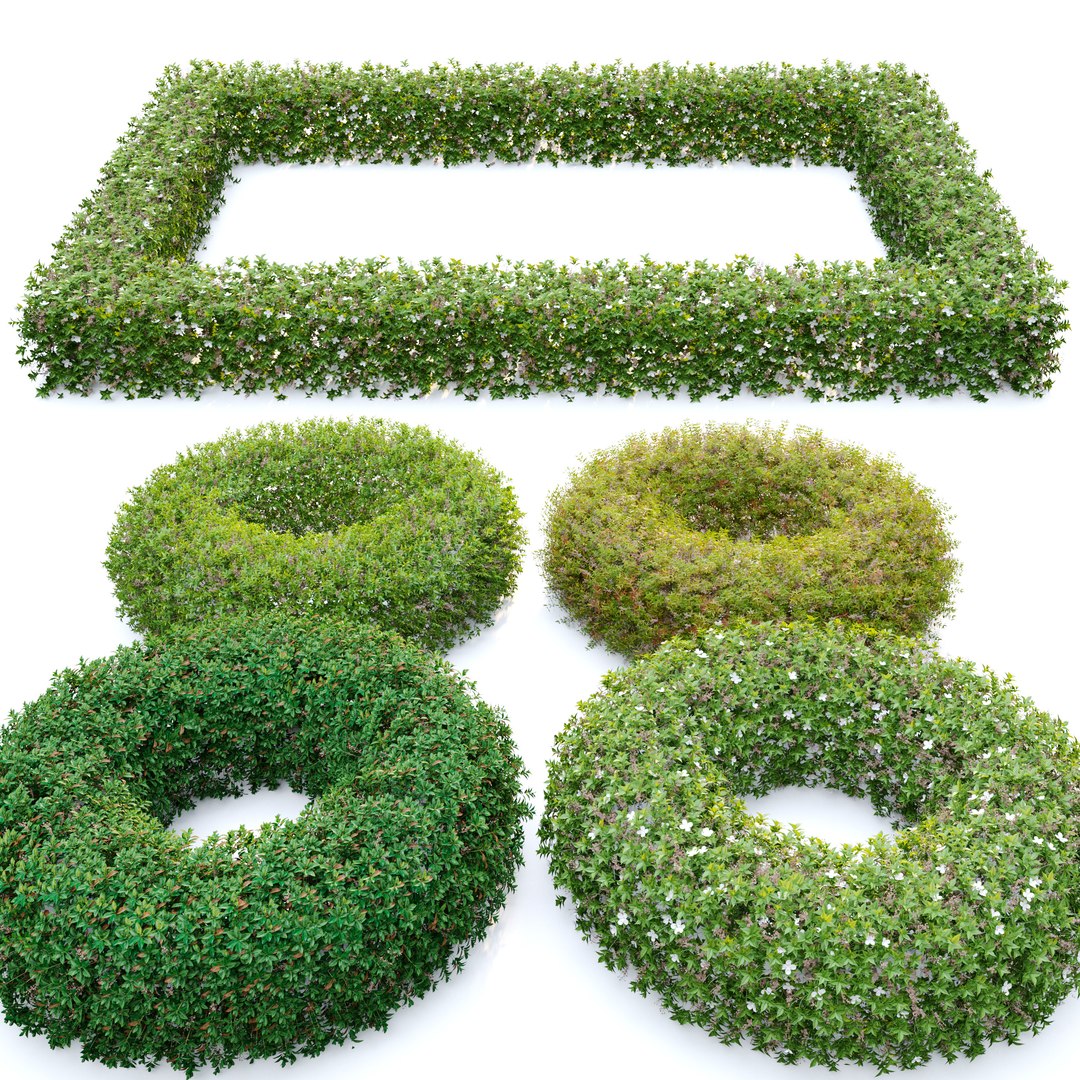 Topiary Hedge Bushes 3D - TurboSquid 1959874