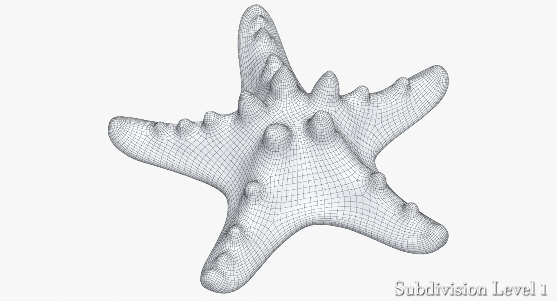 3d Star Fish 2 Model