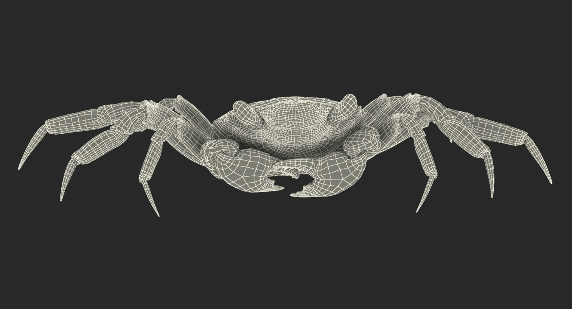 purple vampire crab geosesarma 3d model