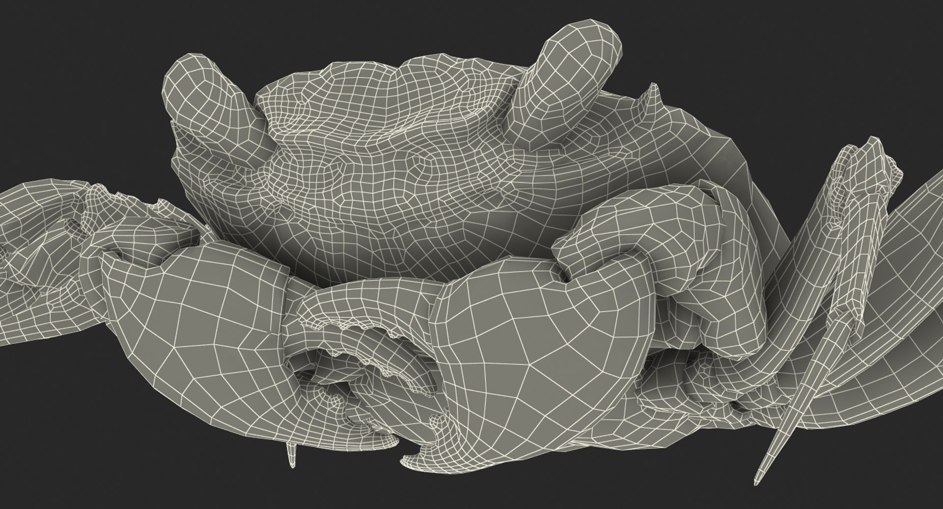 purple vampire crab geosesarma 3d model