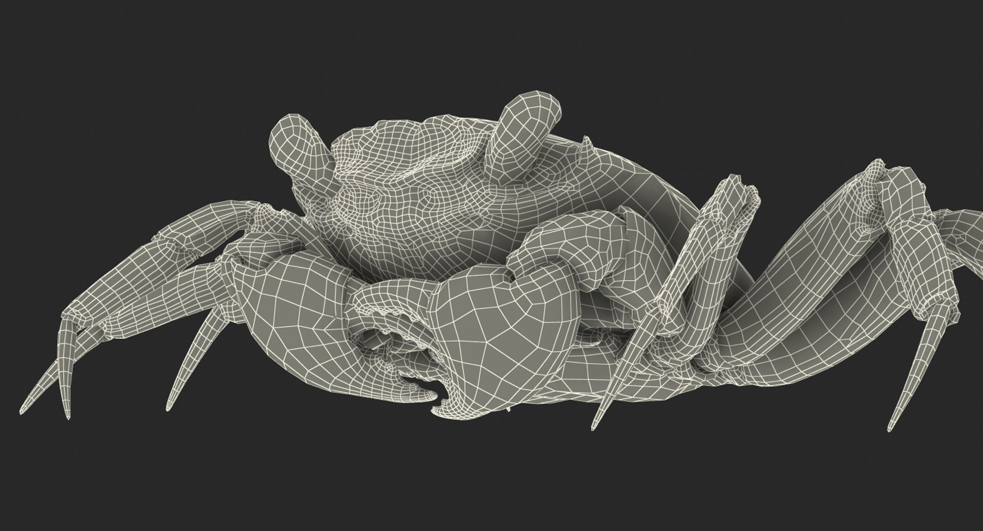 purple vampire crab geosesarma 3d model