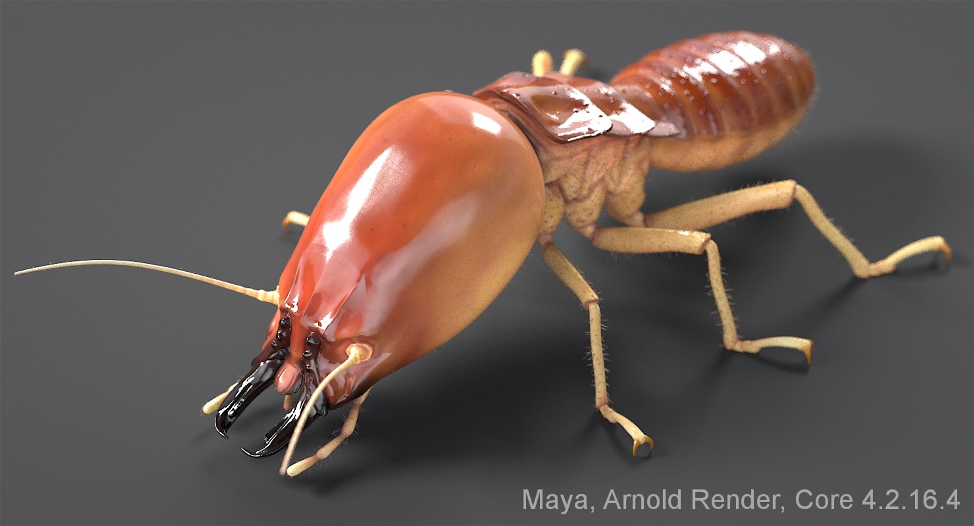 Realistic termite real 3D - TurboSquid 1353078