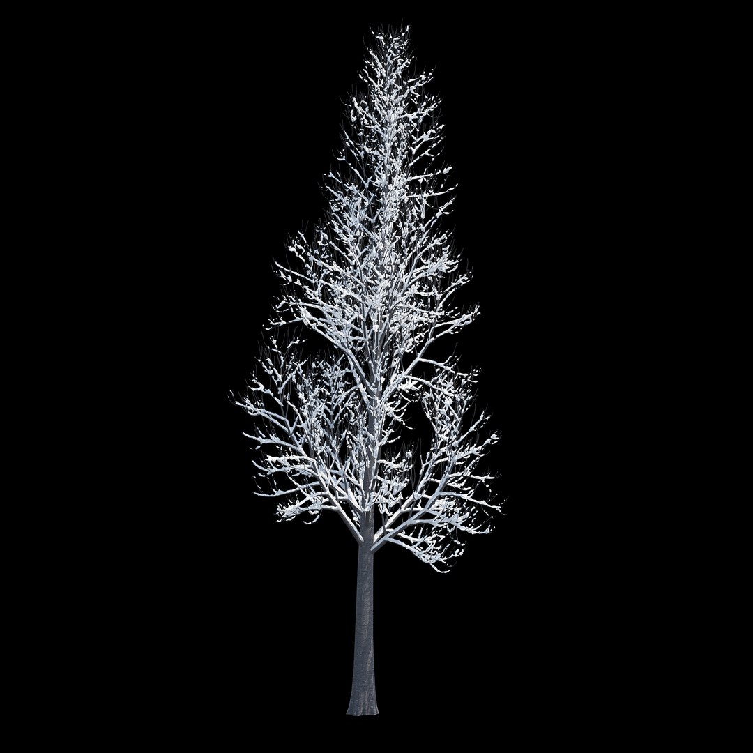 3D Winter Tree 015 - TurboSquid 1228954