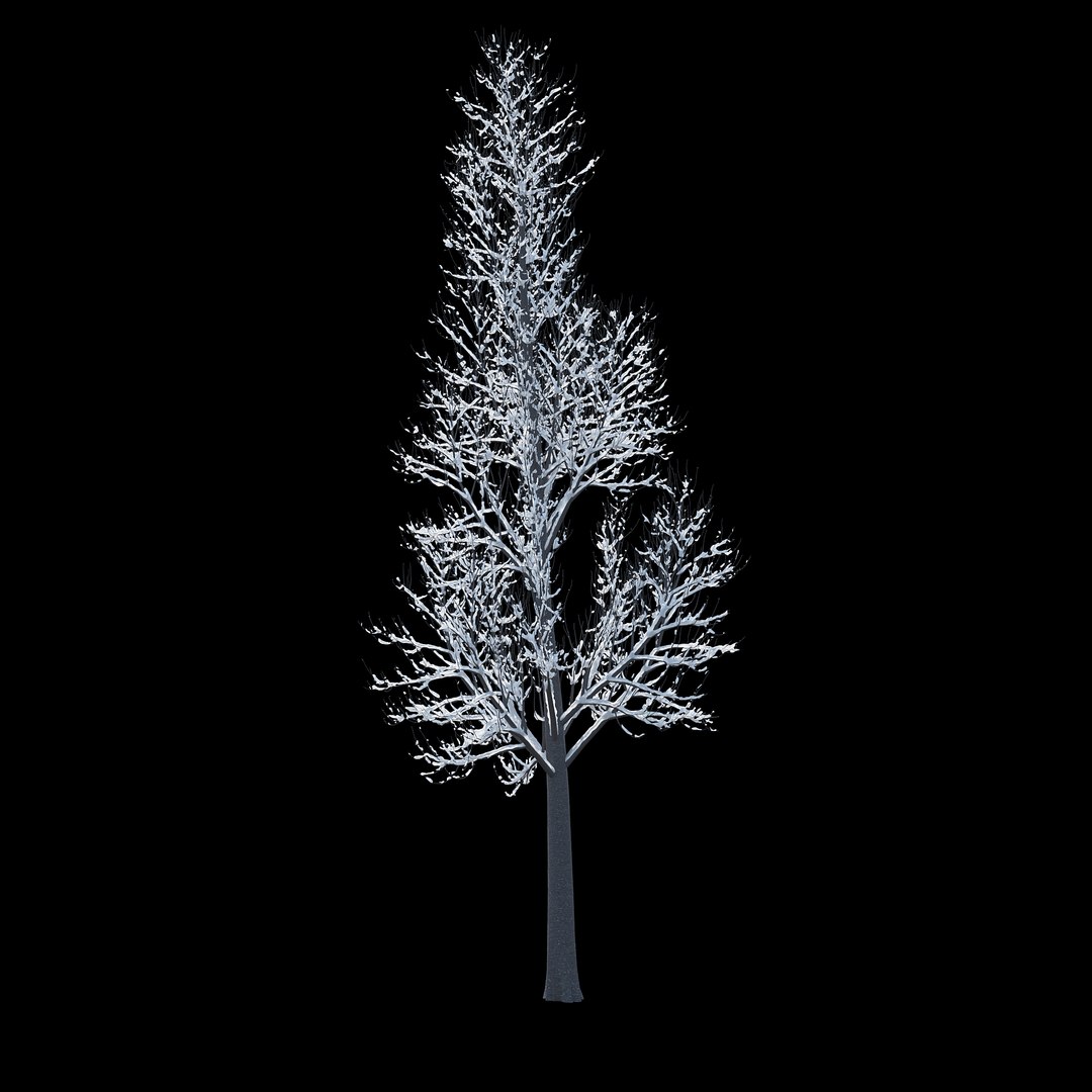 3D Winter Tree 015 - TurboSquid 1228954