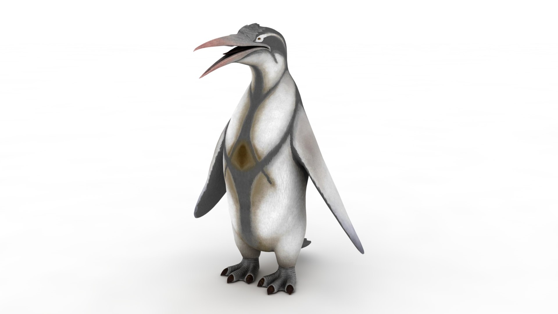 Penguin Model - TurboSquid 2317973
