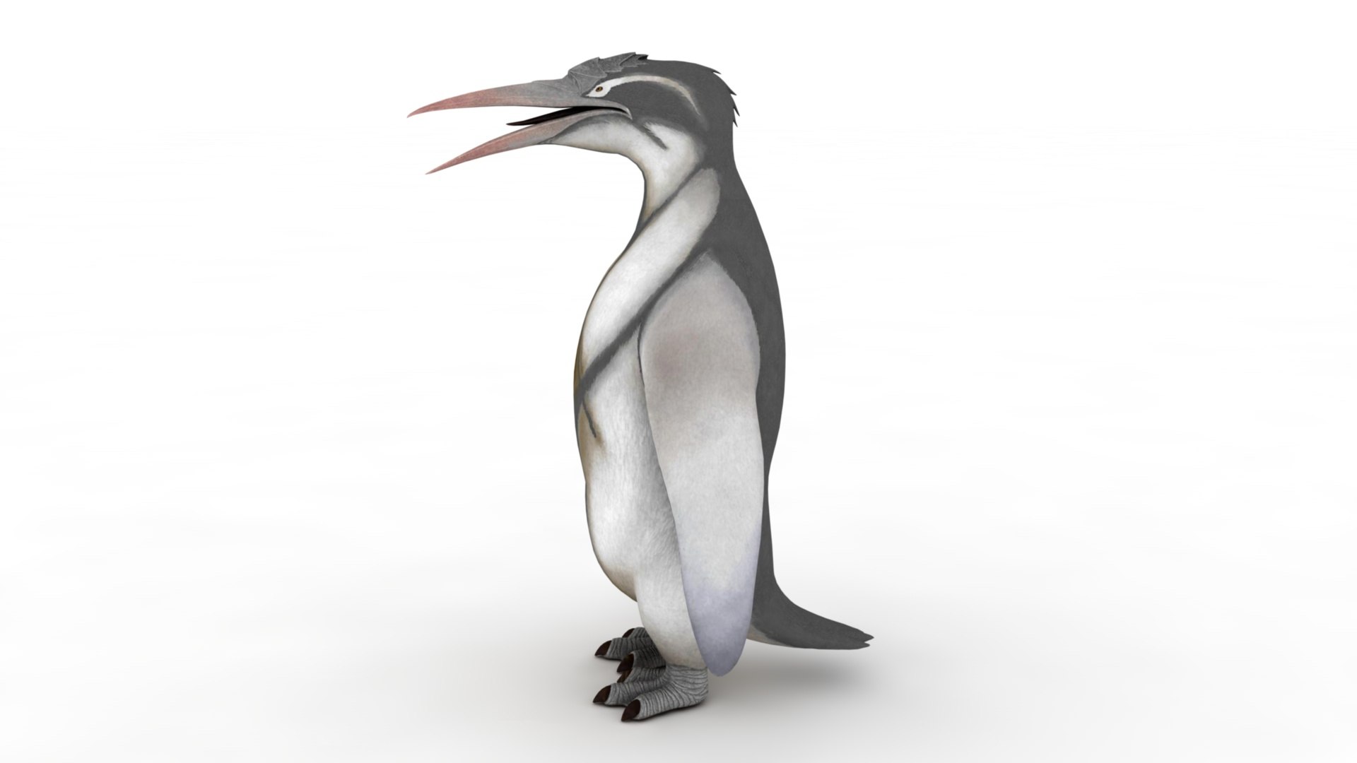 Penguin Model - TurboSquid 2317973
