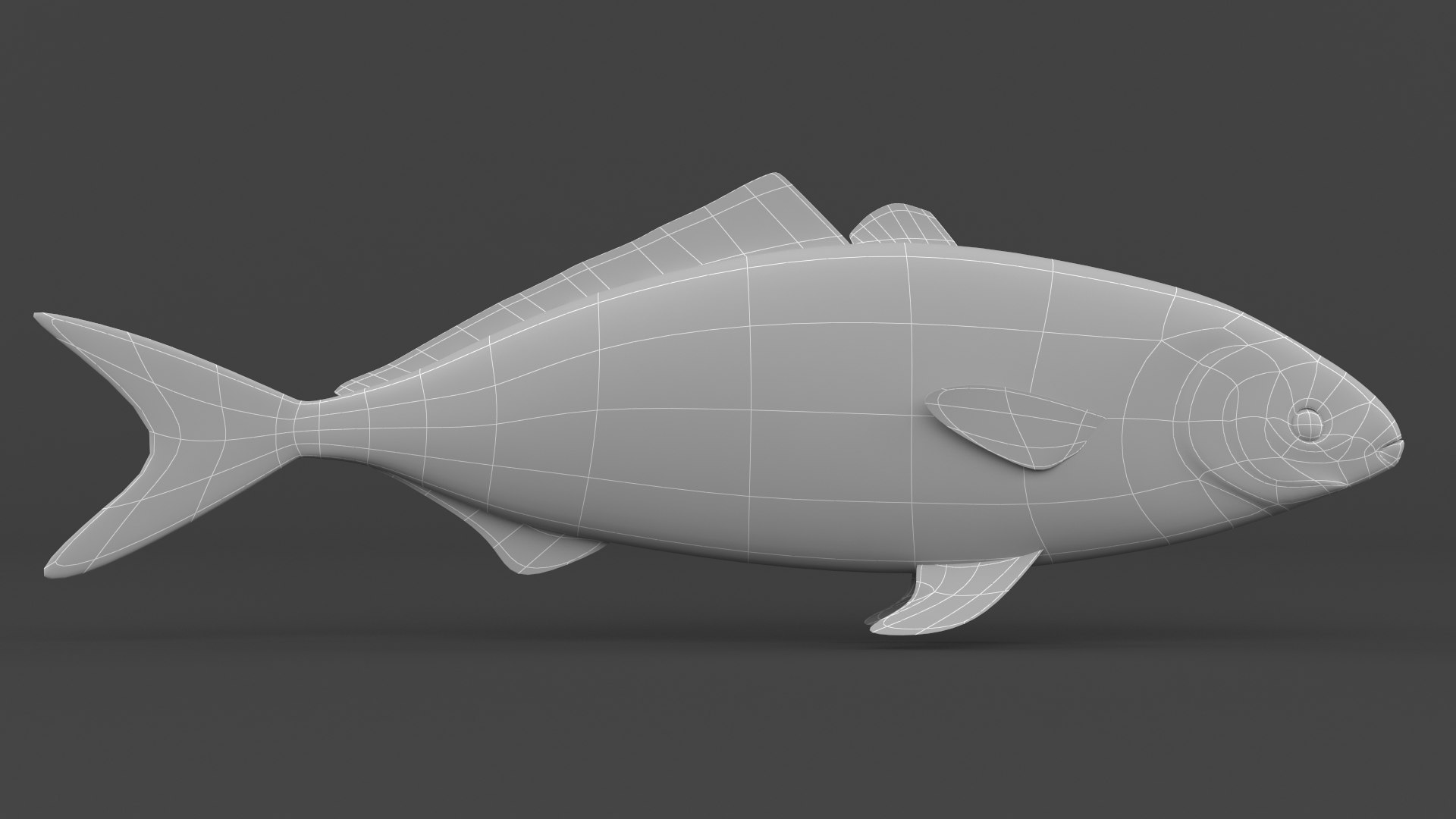 Tuna Fish 3D Model - TurboSquid 2252465