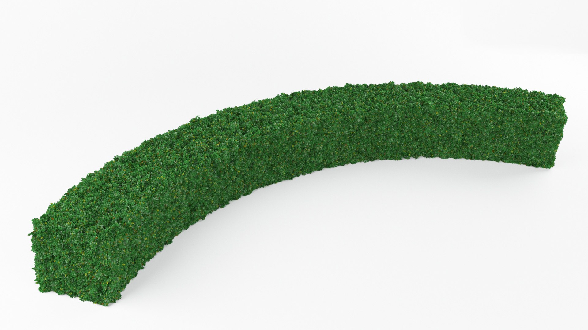 Set Boxwood Model - TurboSquid 1459679