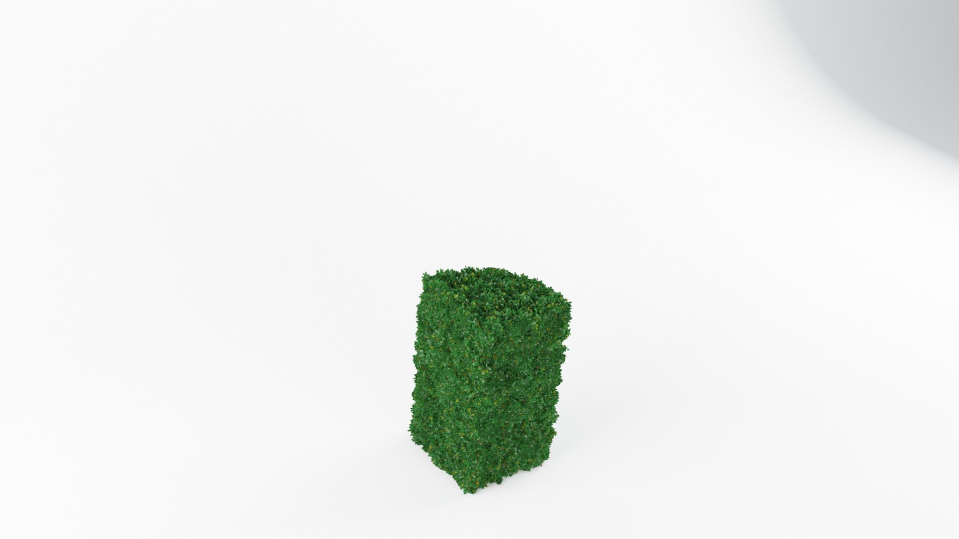 Set Boxwood Model - TurboSquid 1459679