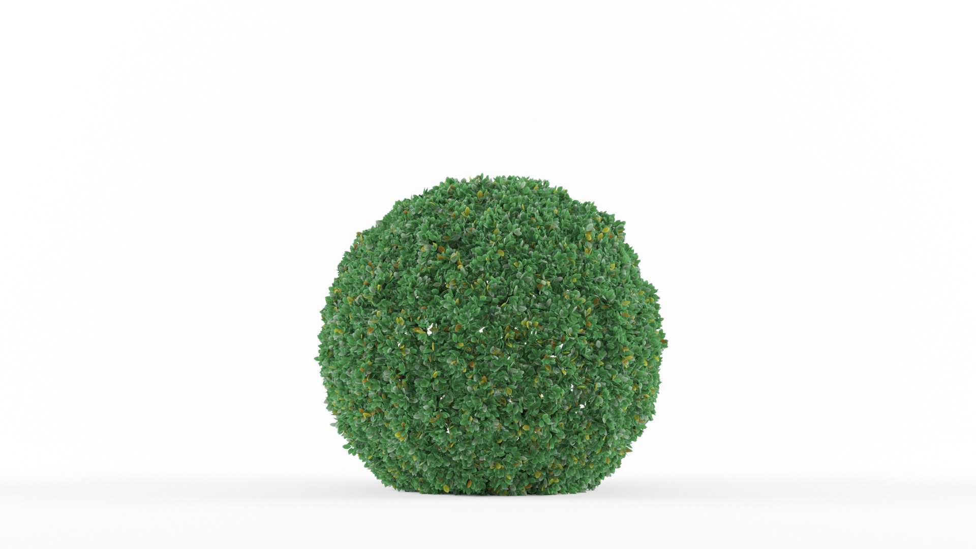 Set Boxwood Model - TurboSquid 1459679