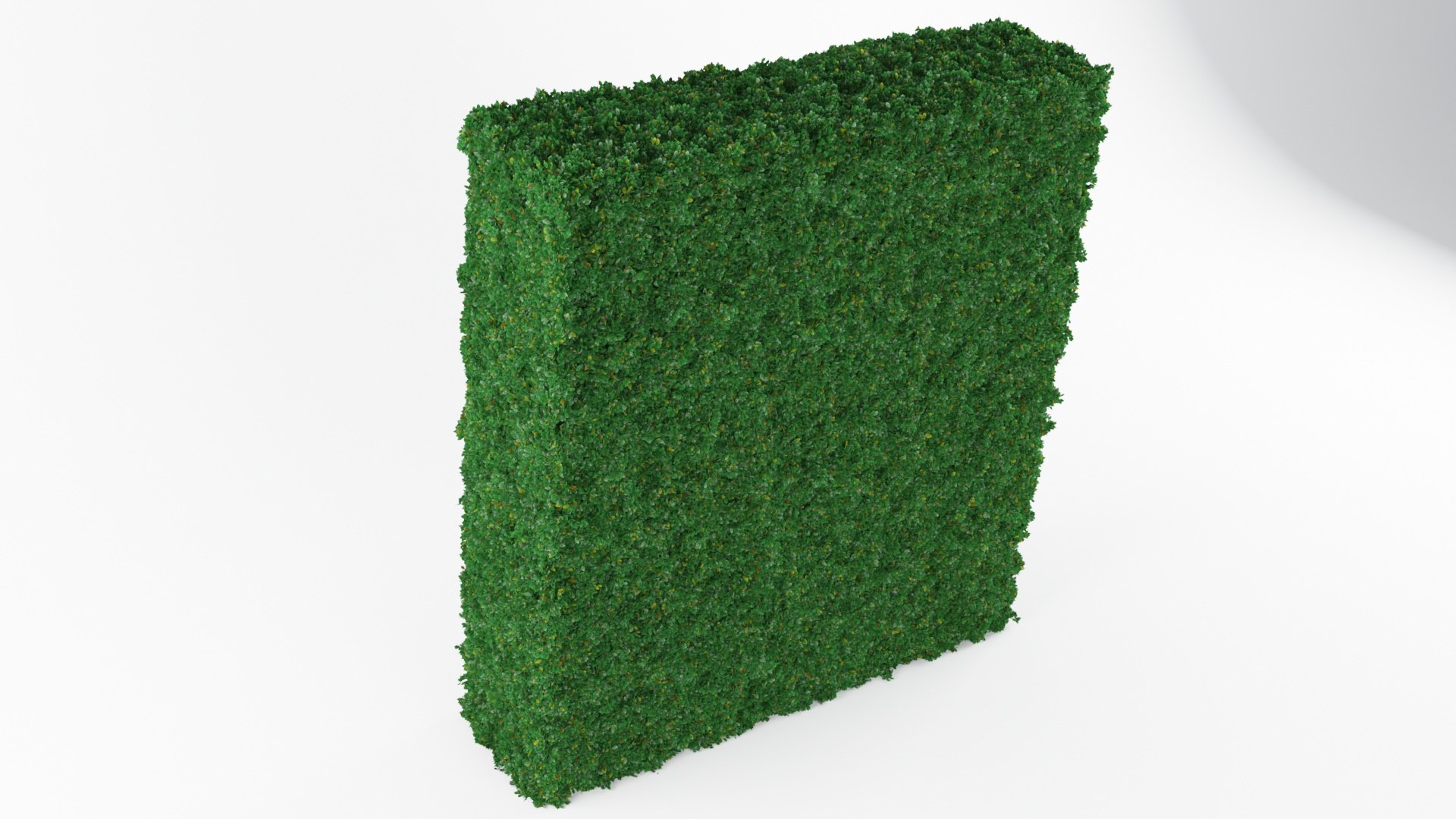 Set Boxwood Model - TurboSquid 1459679