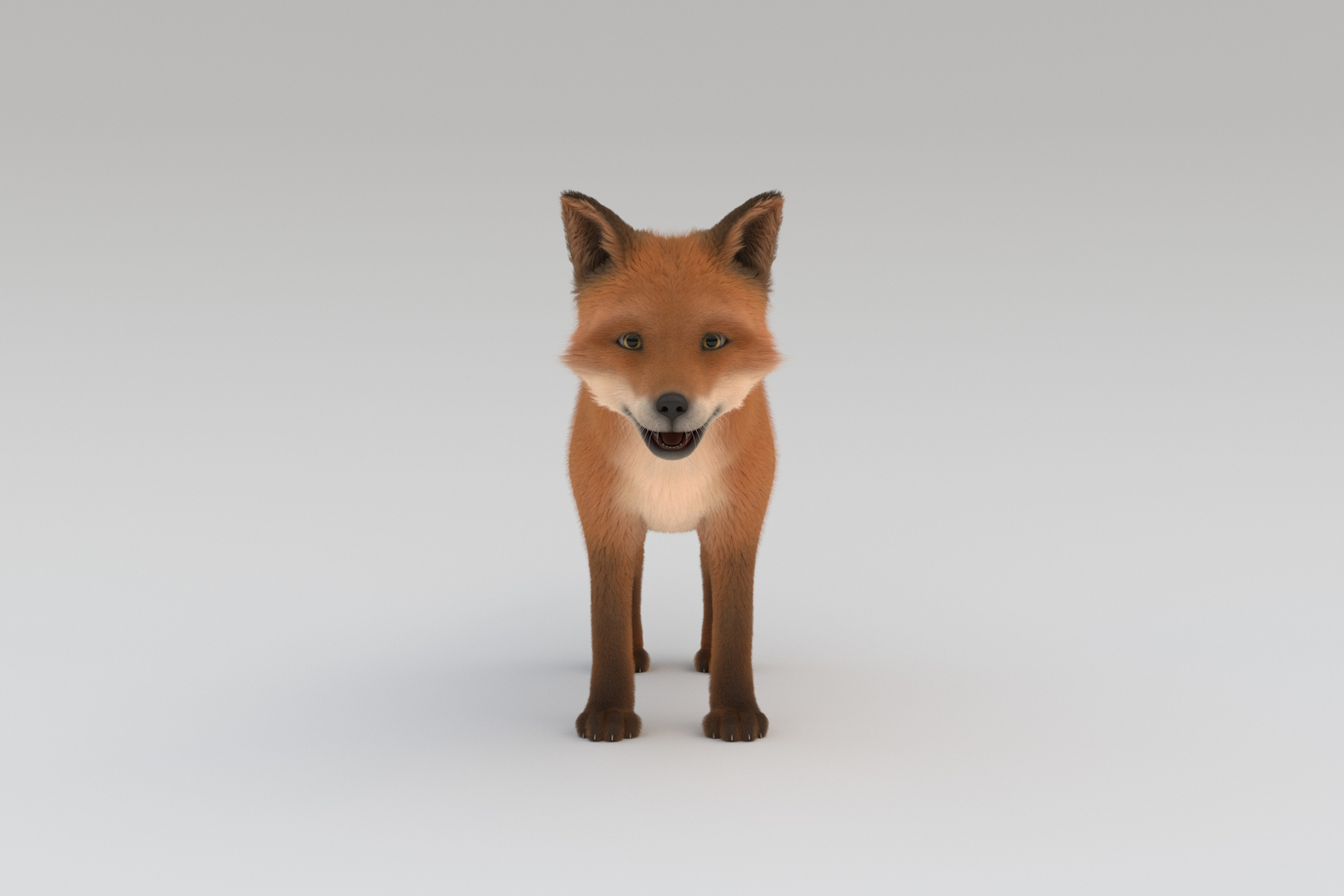 3D Fox ANIMATED - TurboSquid 1986506