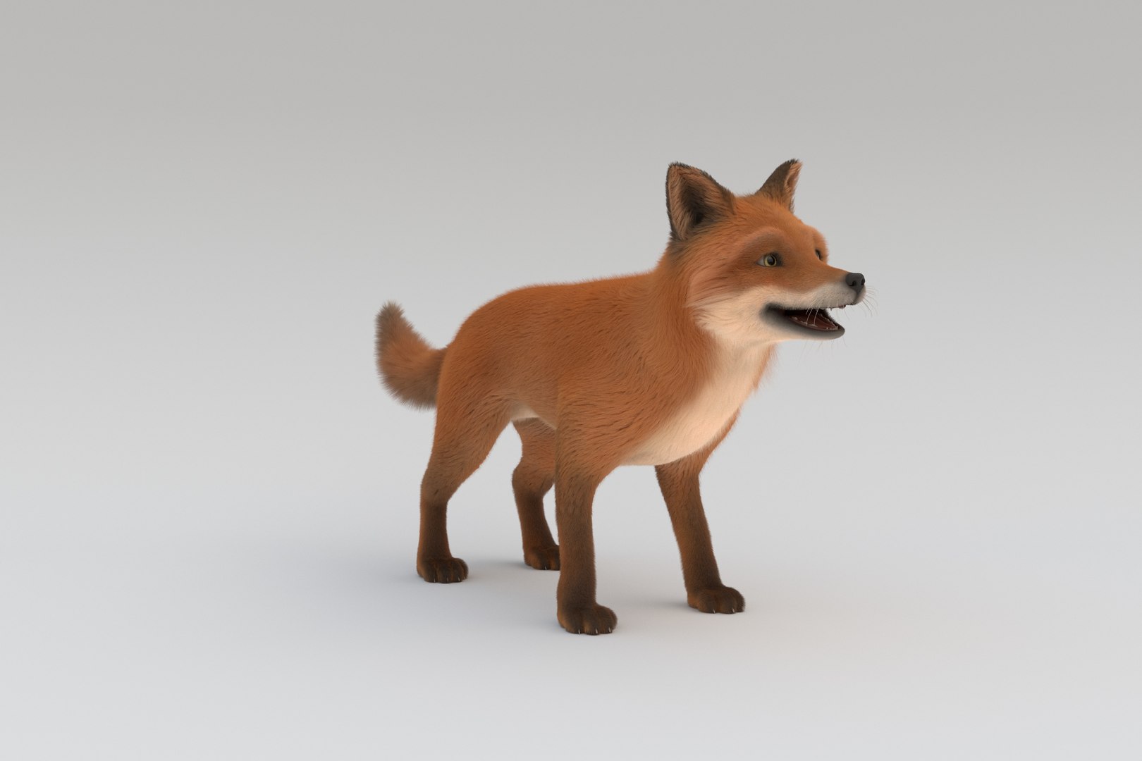3D Fox ANIMATED - TurboSquid 1986506