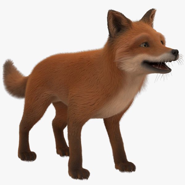 Fox 3D Models for Download | TurboSquid