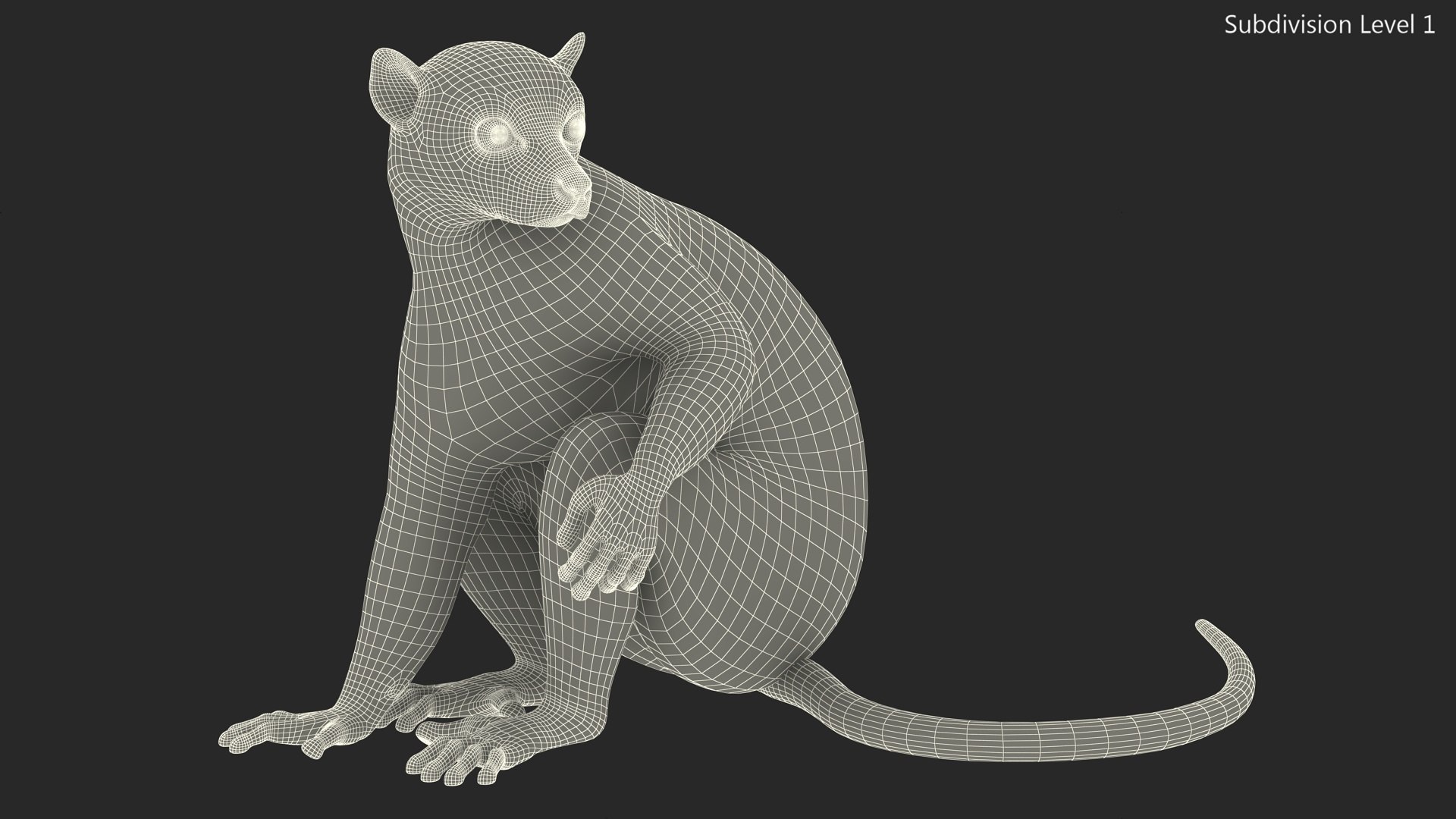 3D Ring-tailed Lemur Sitting Model - TurboSquid 2199203