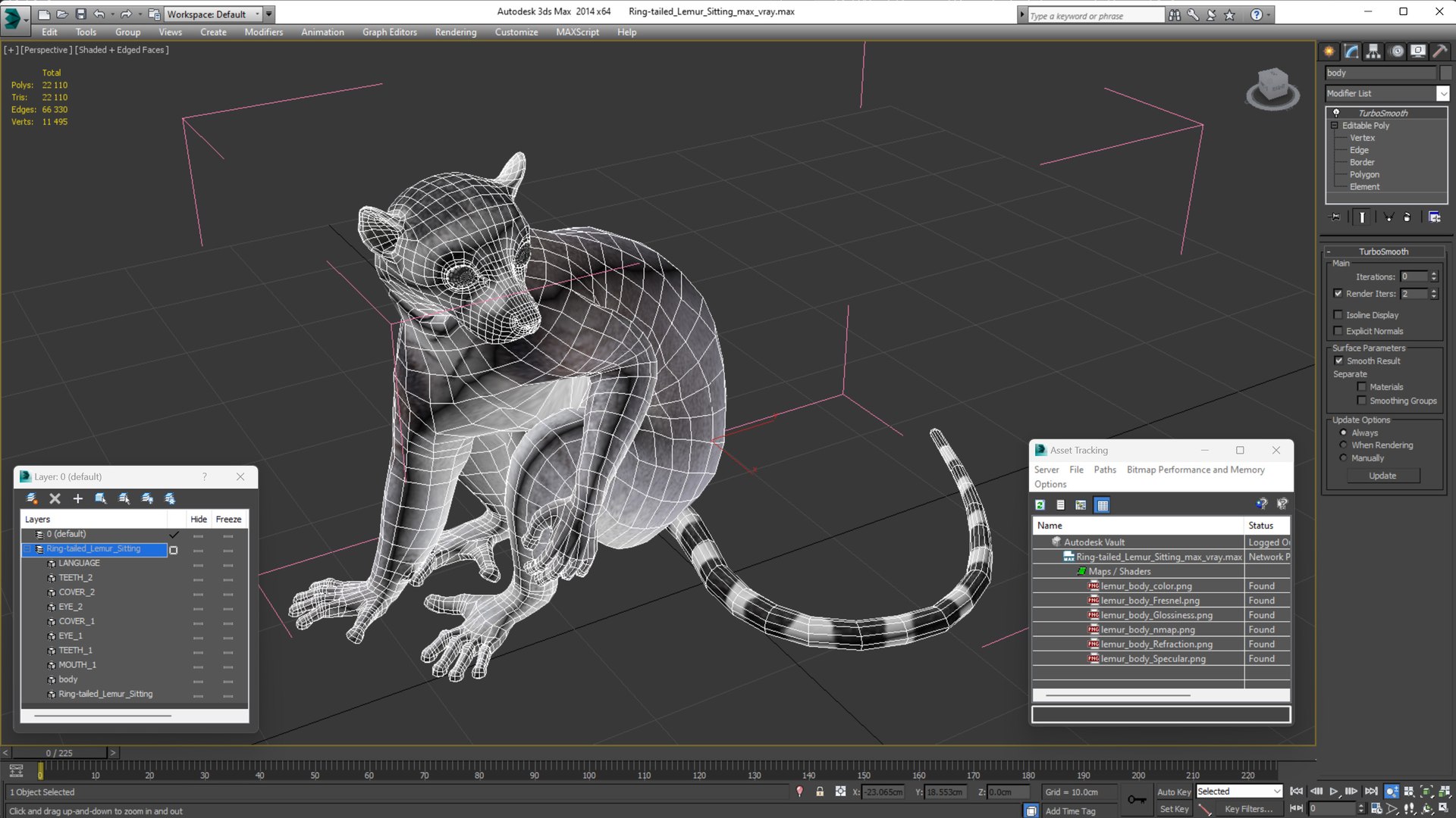 3D Ring-tailed Lemur Sitting Model - TurboSquid 2199203