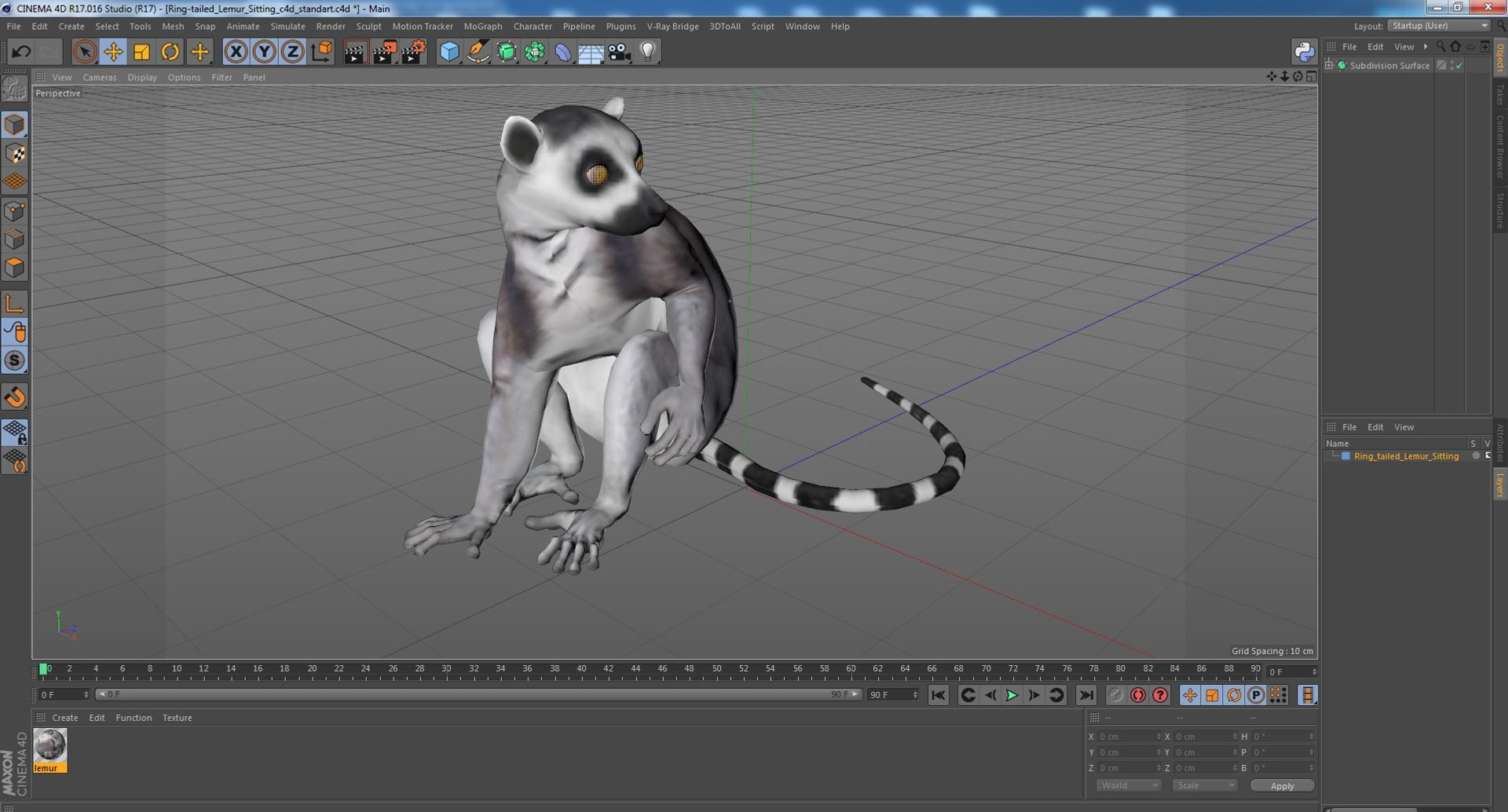 3D Ring-tailed Lemur Sitting Model - TurboSquid 2199203