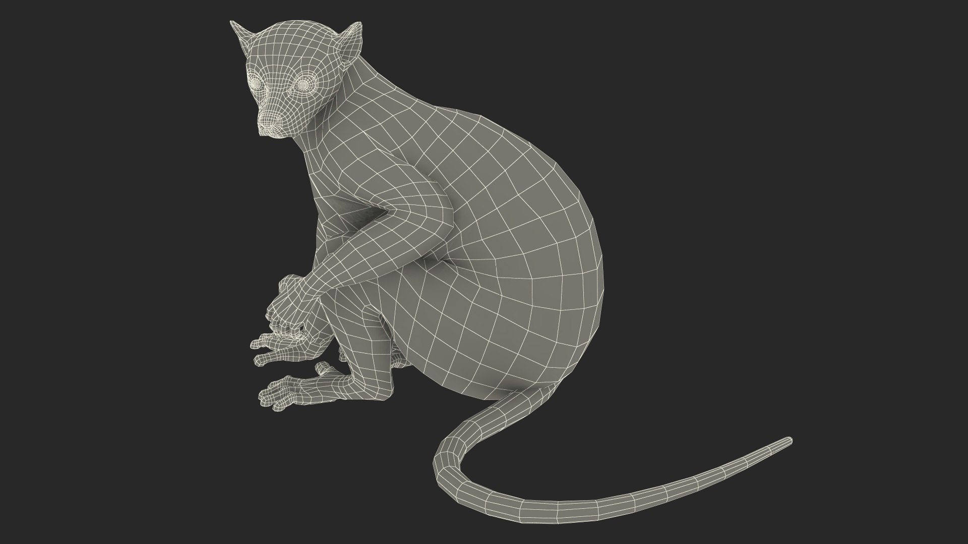 3D Ring-tailed Lemur Sitting Model - TurboSquid 2199203
