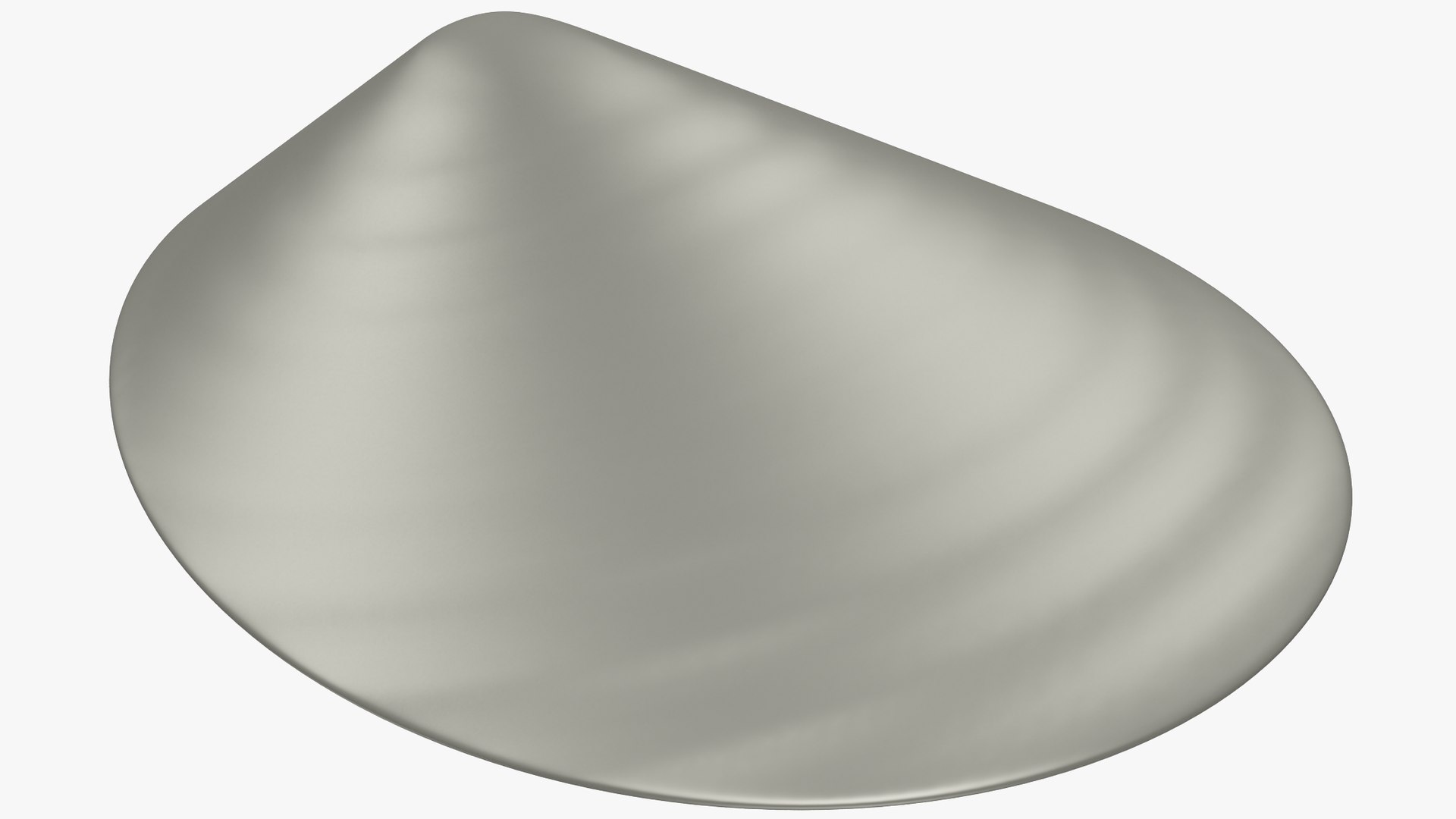 3D Seashell Sea Shell - TurboSquid 1624228