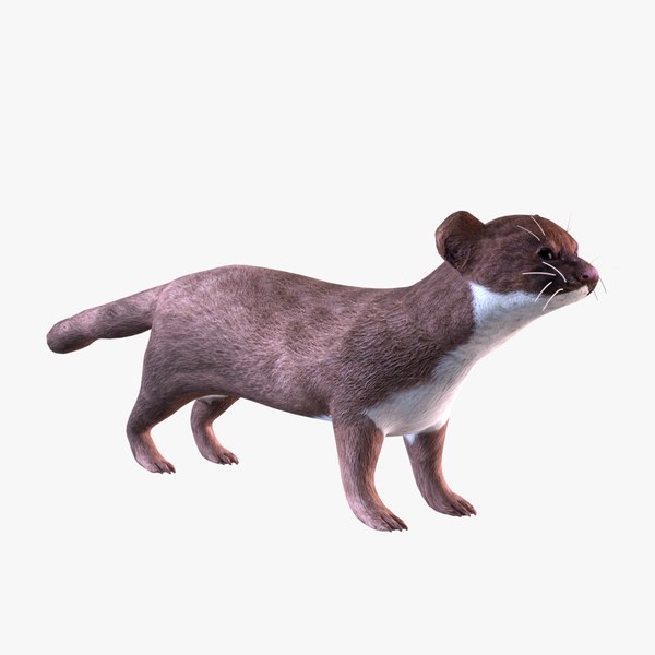 Asian buffalo 3D model - TurboSquid 1411864