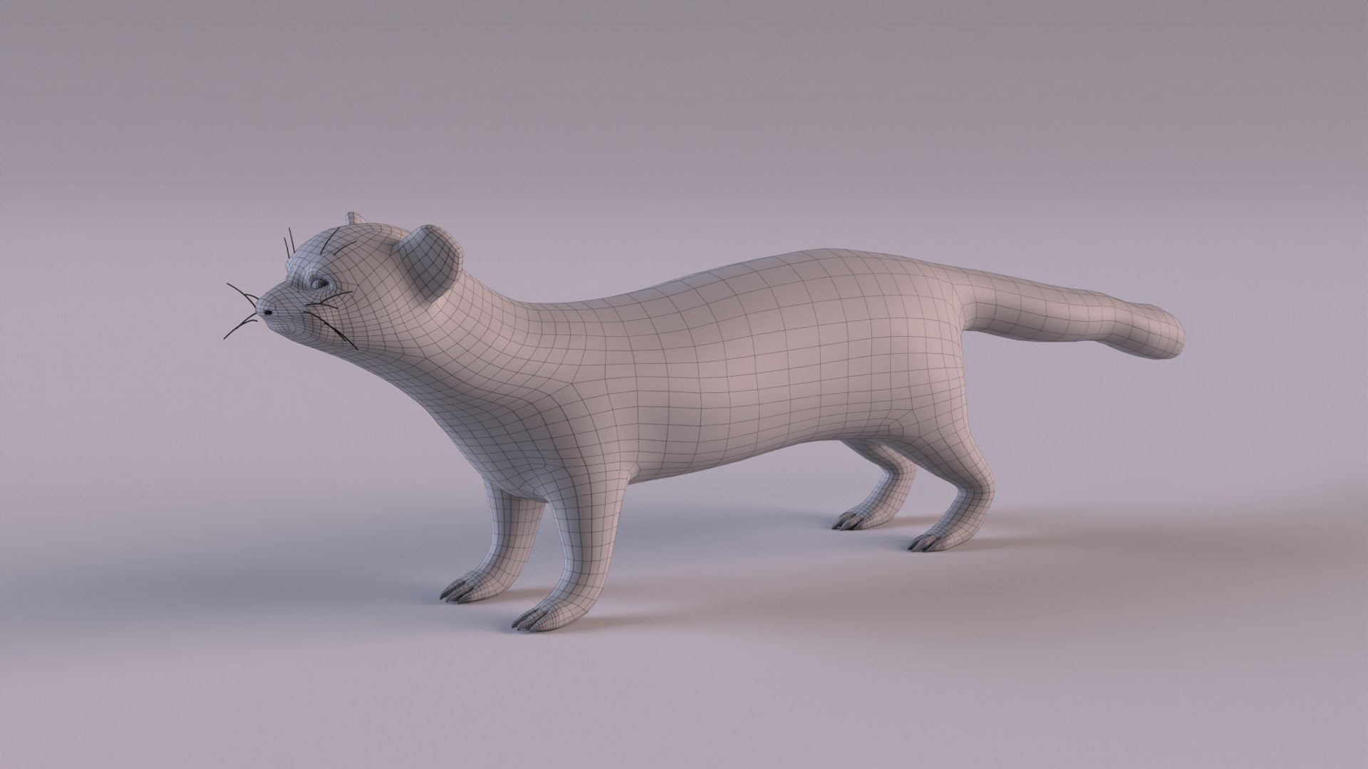 Weasel 3d Model