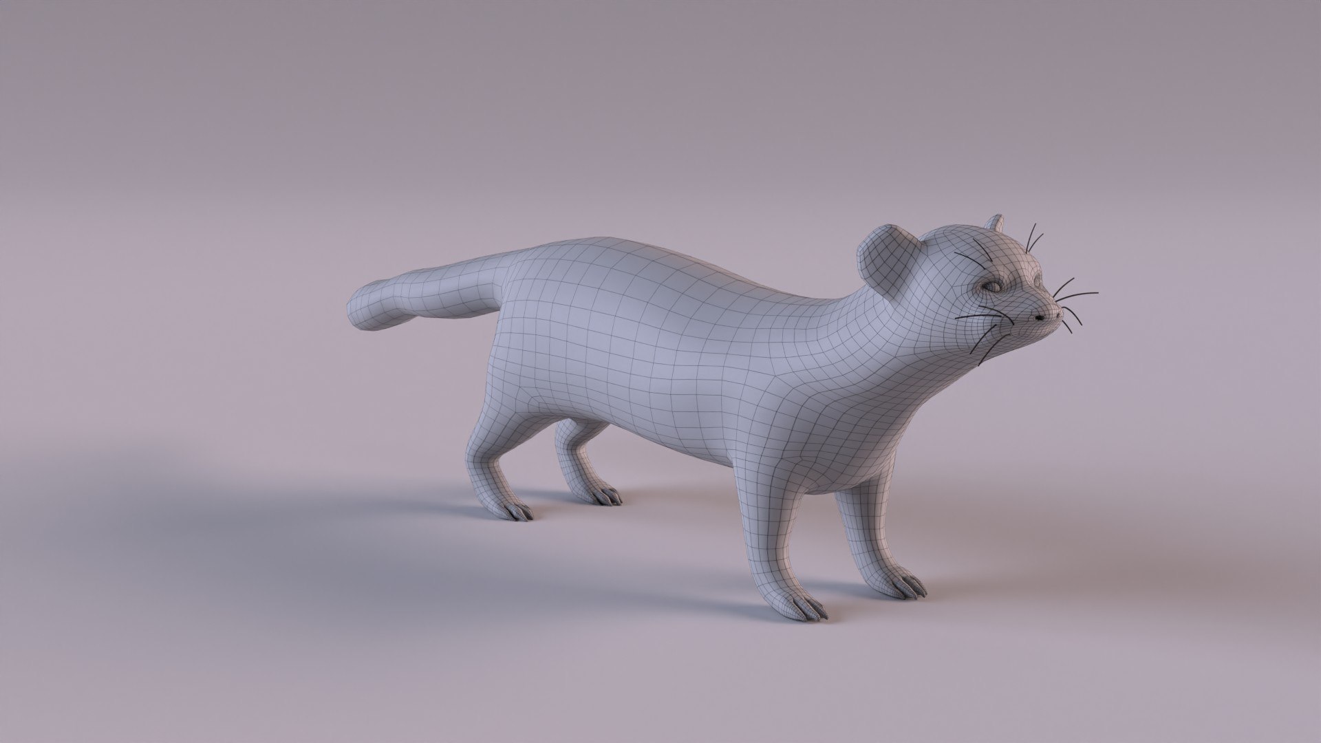 Weasel 3d Model