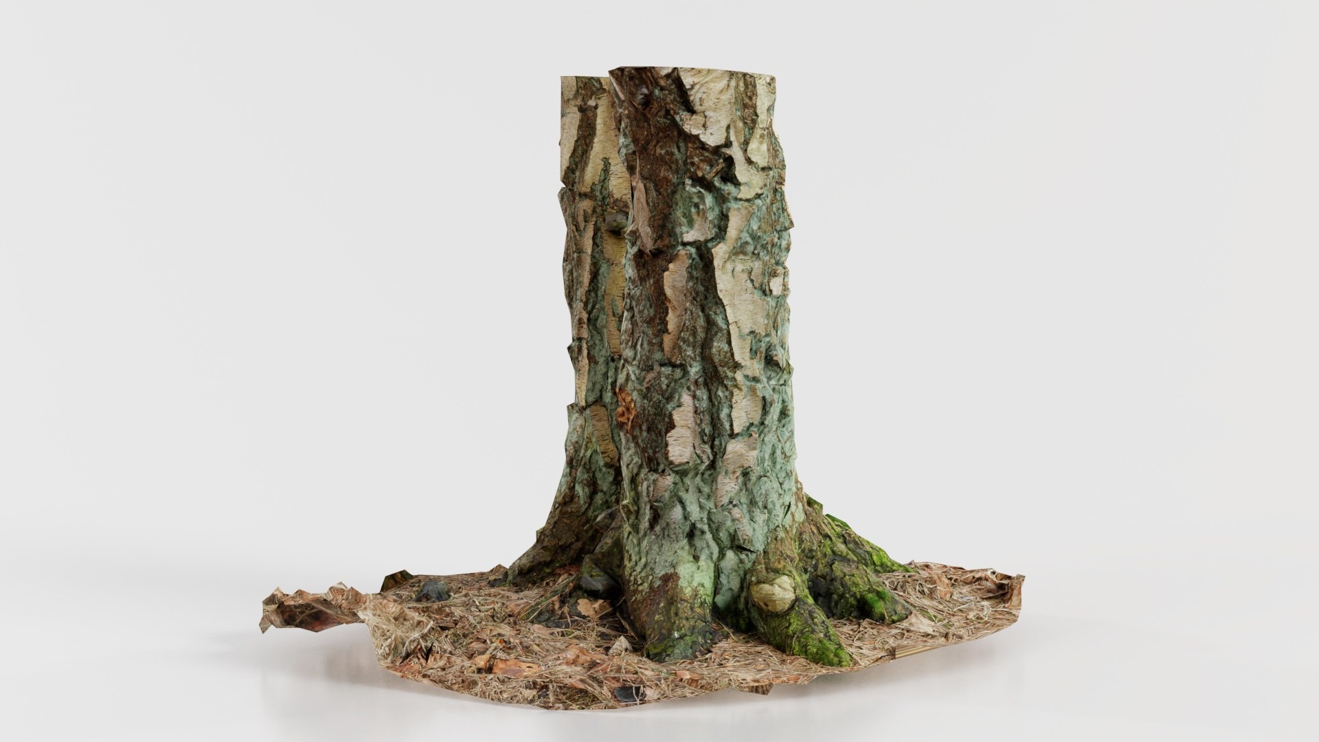 3D Split Tree Foundation Stump Remastered Model - TurboSquid 2363148