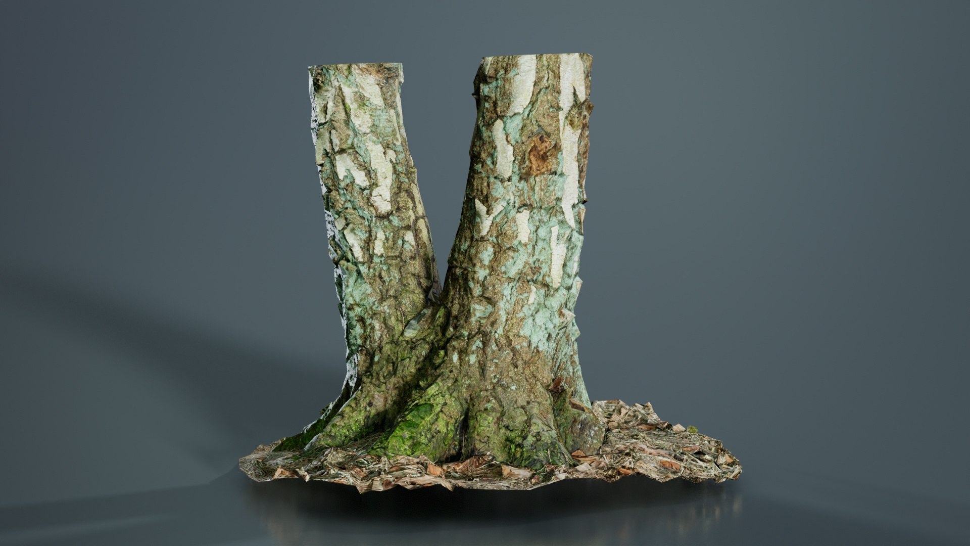 3D Split Tree Foundation Stump Remastered Model - TurboSquid 2363148