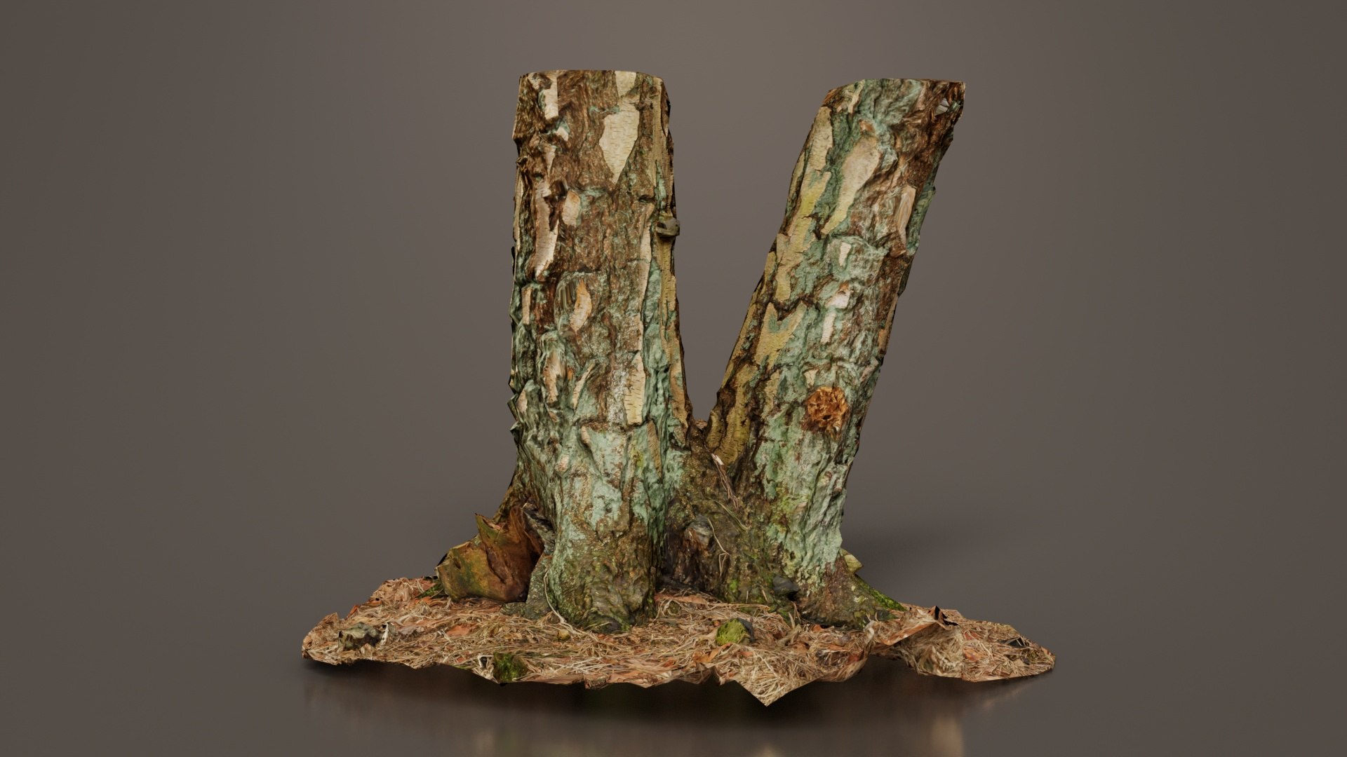3D Split Tree Foundation Stump Remastered Model - TurboSquid 2363148