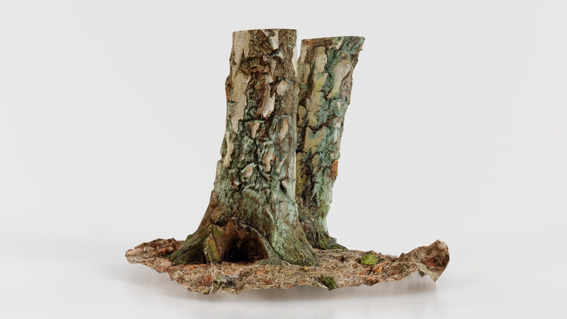 3D Split Tree Foundation Stump Remastered Model - TurboSquid 2363148