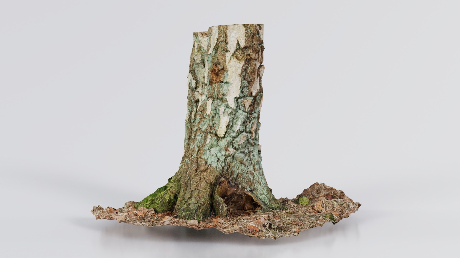 3D Split Tree Foundation Stump Remastered Model - TurboSquid 2363148