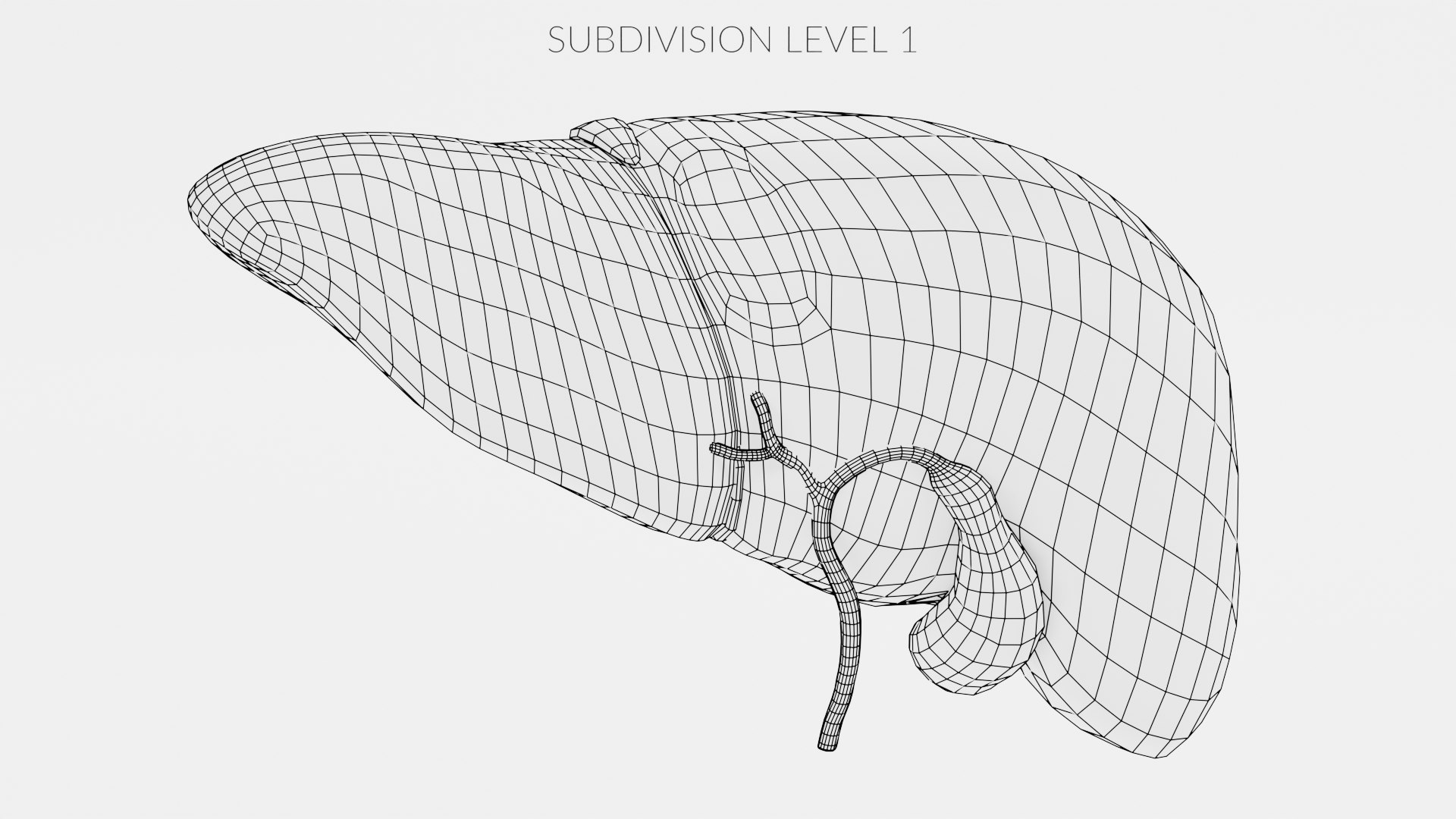 3D Liver Model - TurboSquid 1755862