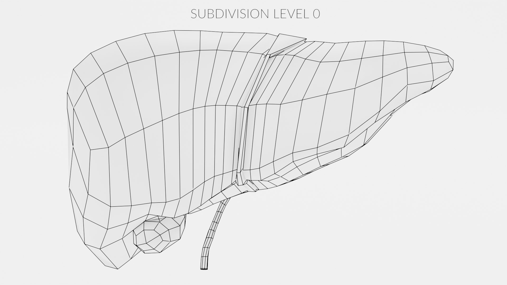 3D Liver Model - TurboSquid 1755862