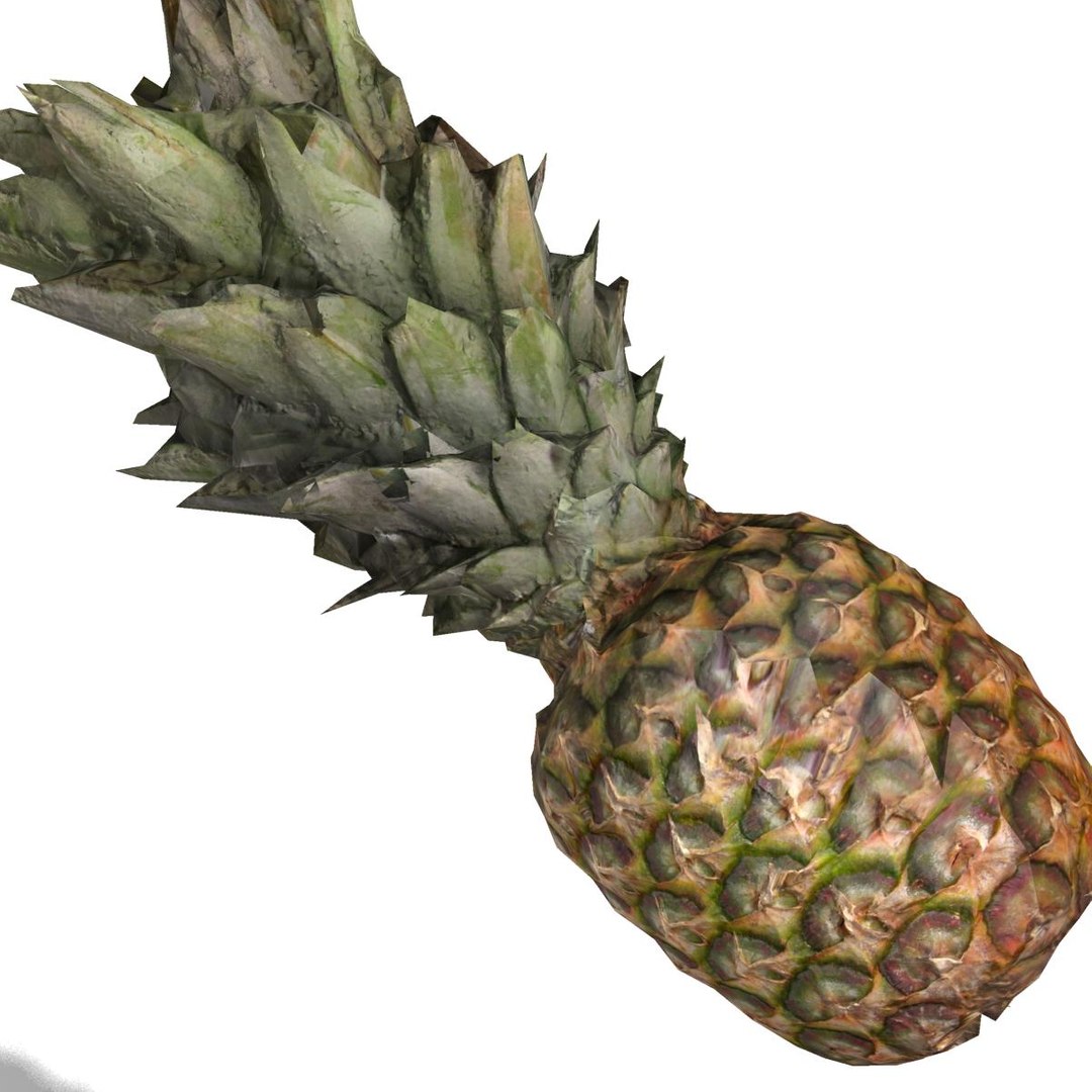 Pineapple Fruit 3d Obj