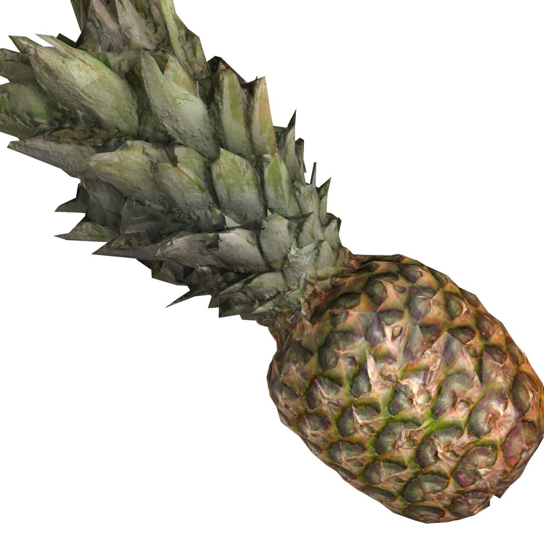 Pineapple Fruit 3d Obj