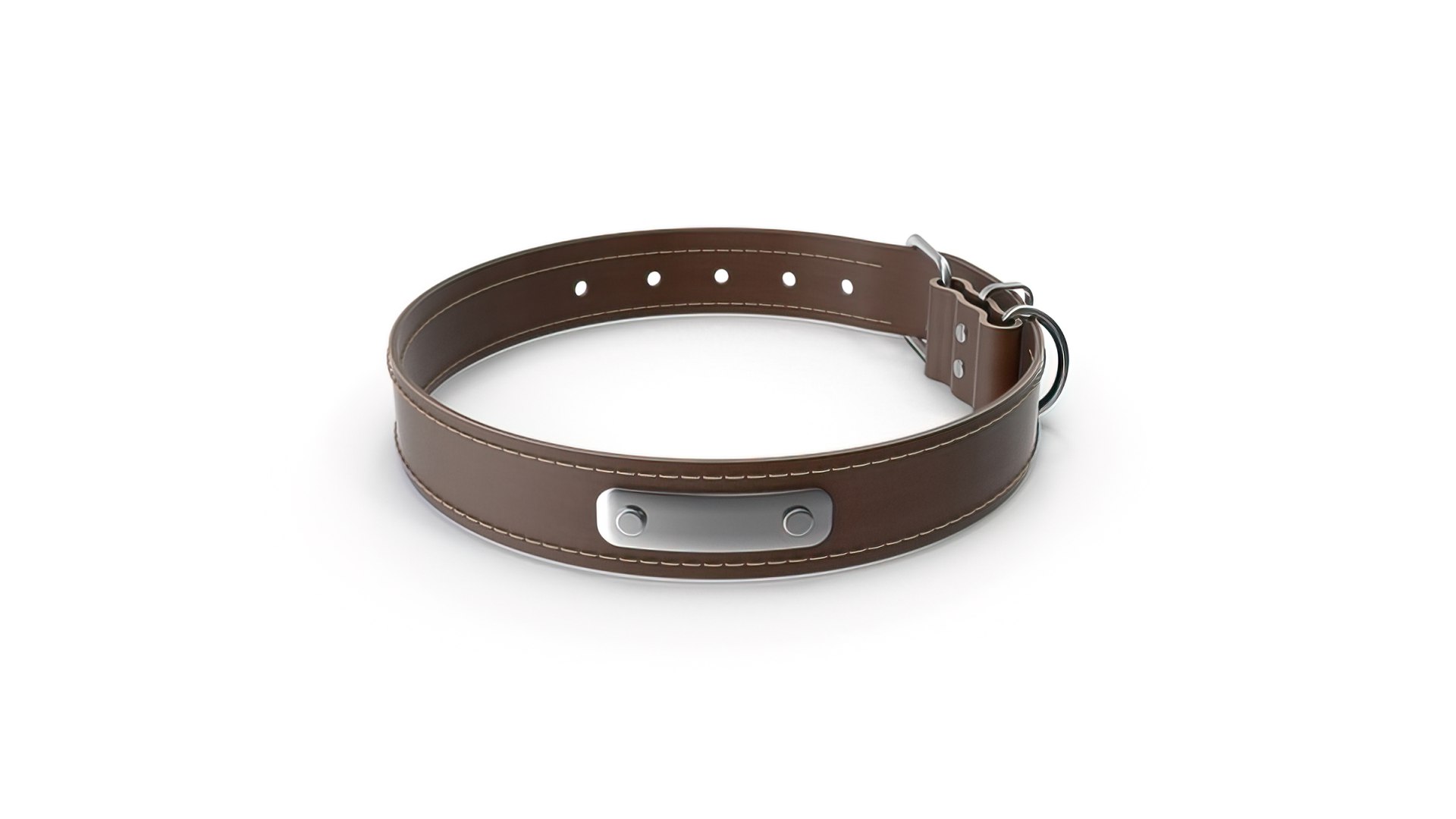 Pet Collar 3D - TurboSquid 2145607
