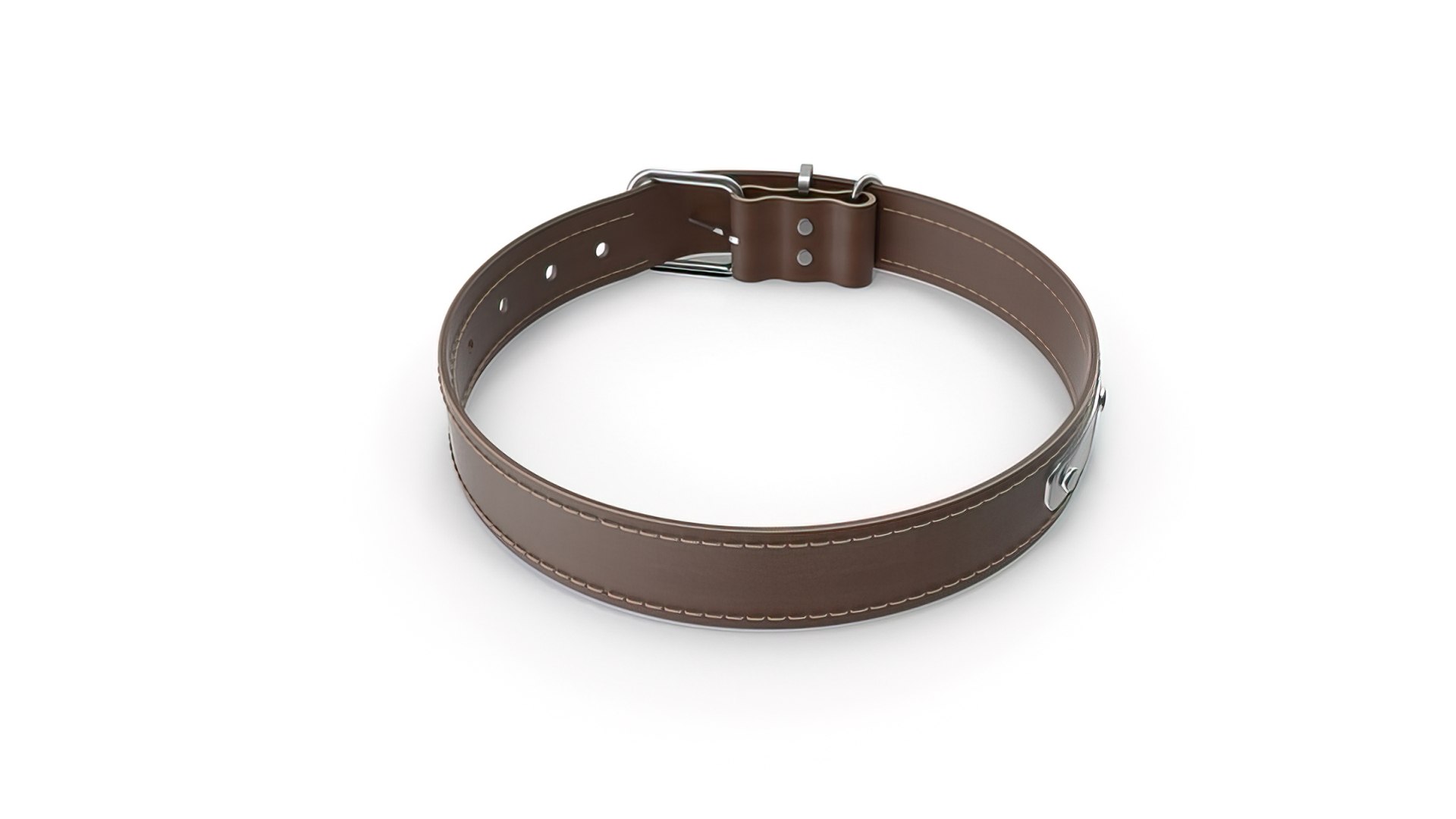 Pet Collar 3D - TurboSquid 2145607