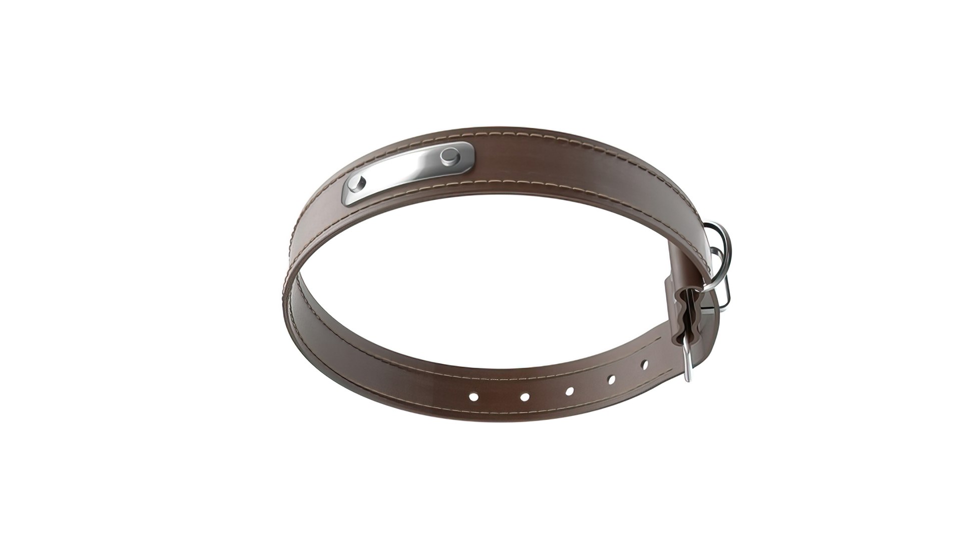 Pet Collar 3D - TurboSquid 2145607