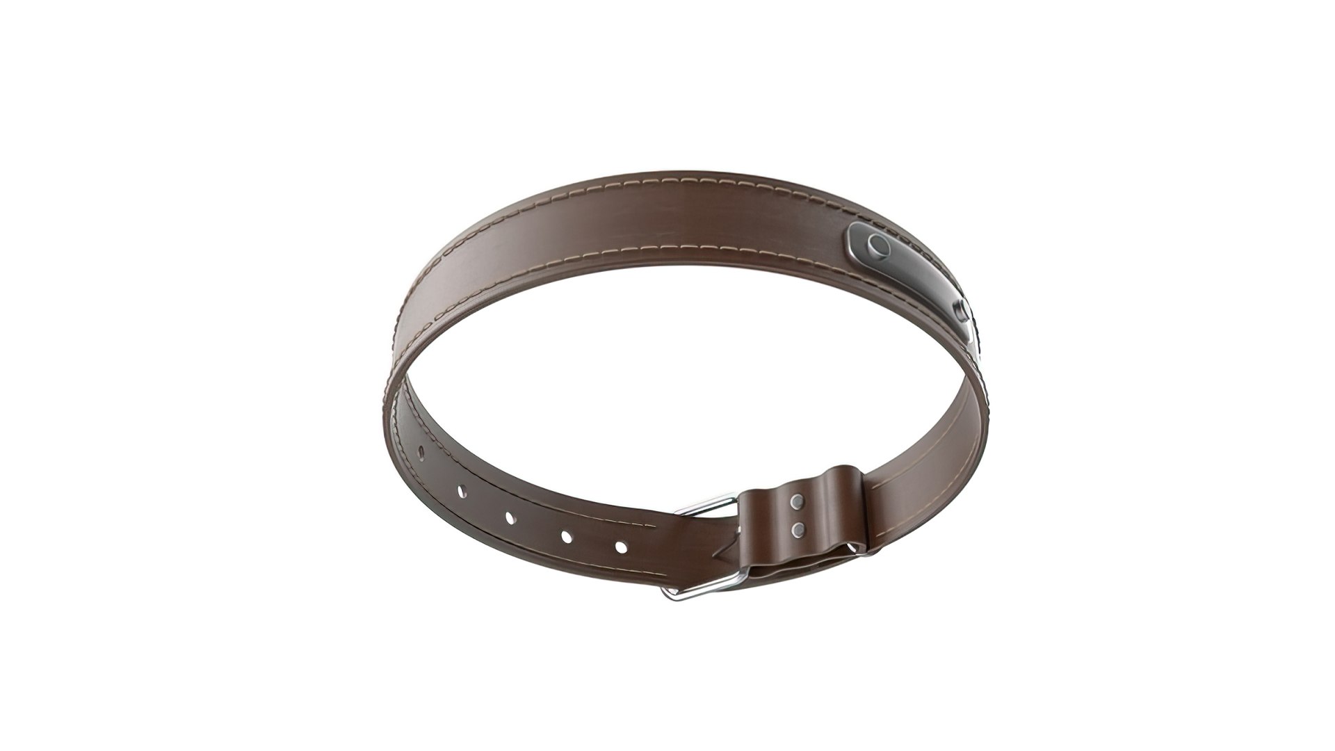 Pet Collar 3D - TurboSquid 2145607