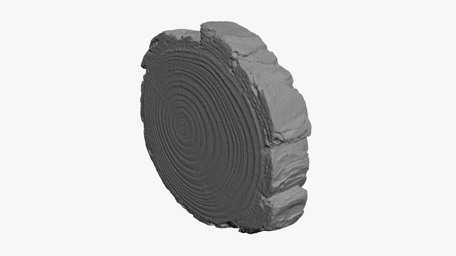 Rustic Wood Slice 3D Print 3D Model - TurboSquid 2292319
