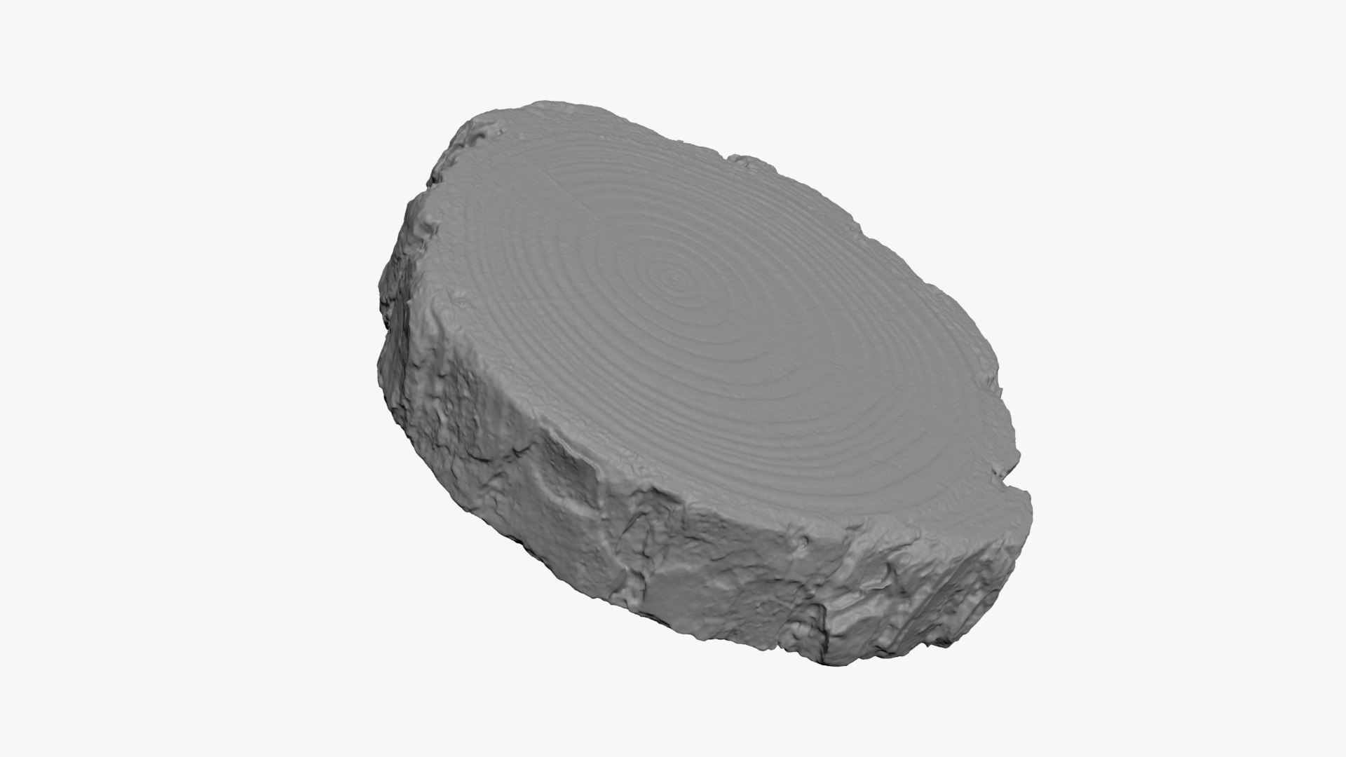 Rustic Wood Slice 3D Print 3D Model - TurboSquid 2292319