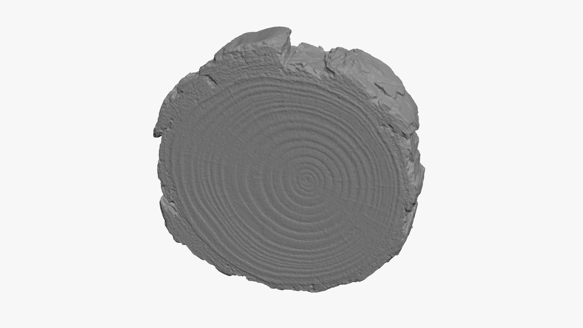 Rustic Wood Slice 3D Print 3D Model - TurboSquid 2292319